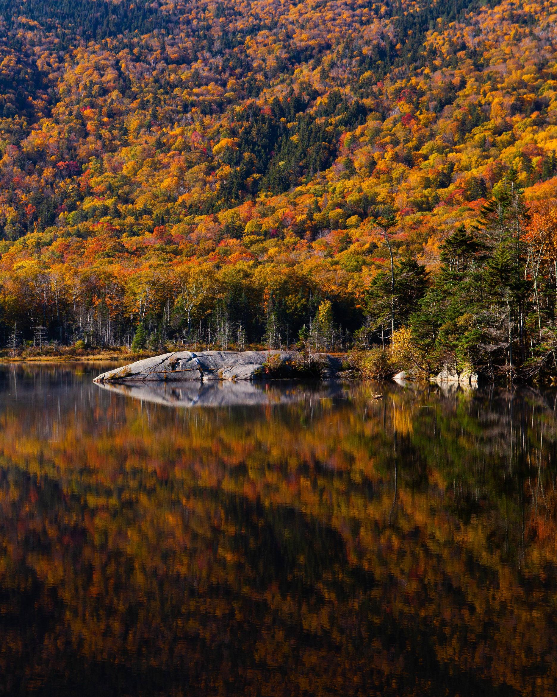 Fall in NH | Scrolller