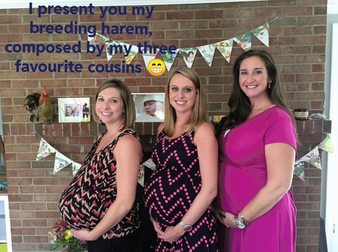 Family's Breeding Harem 😊 | Scrolller