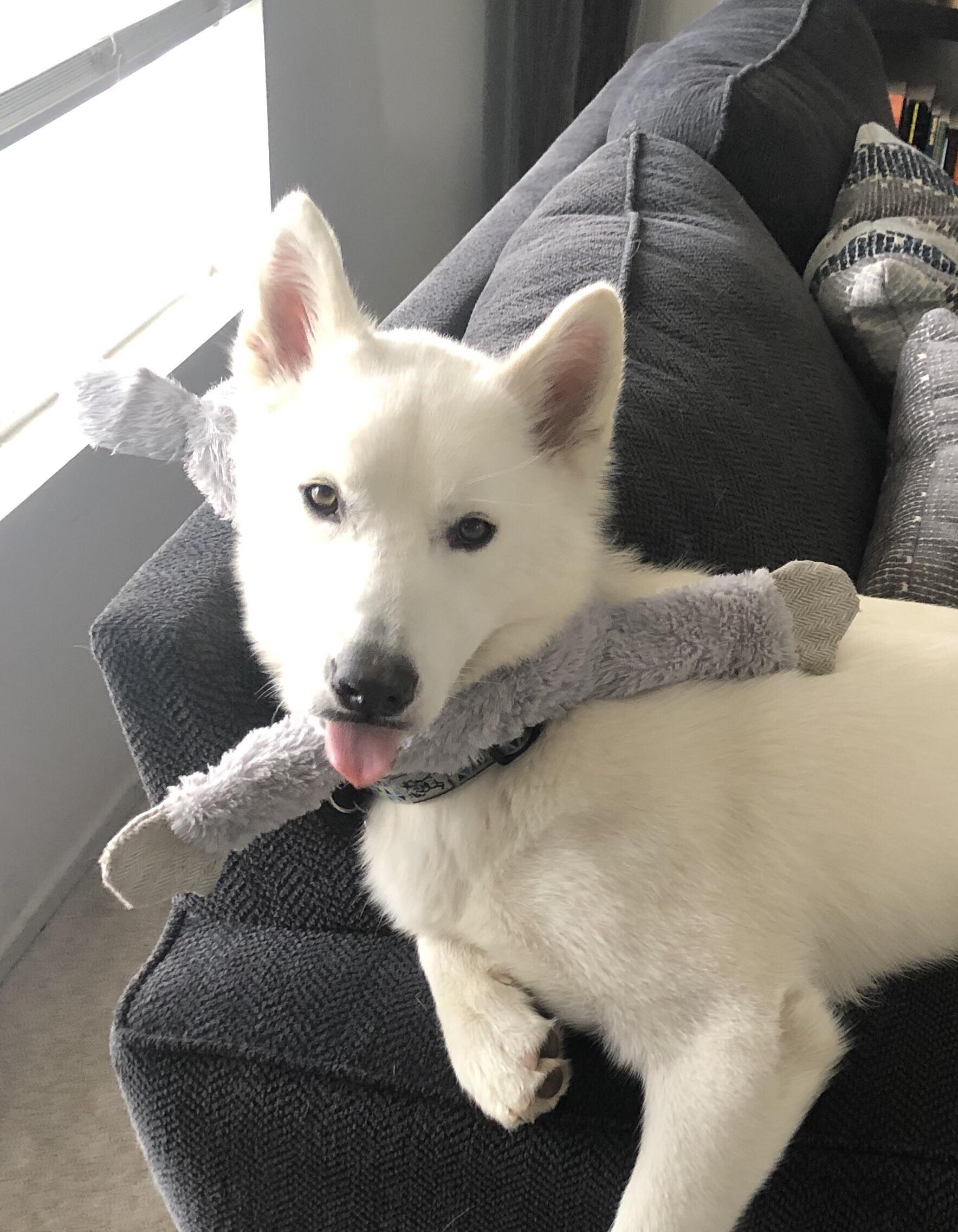 Feeling cute. might delete later | Scrolller