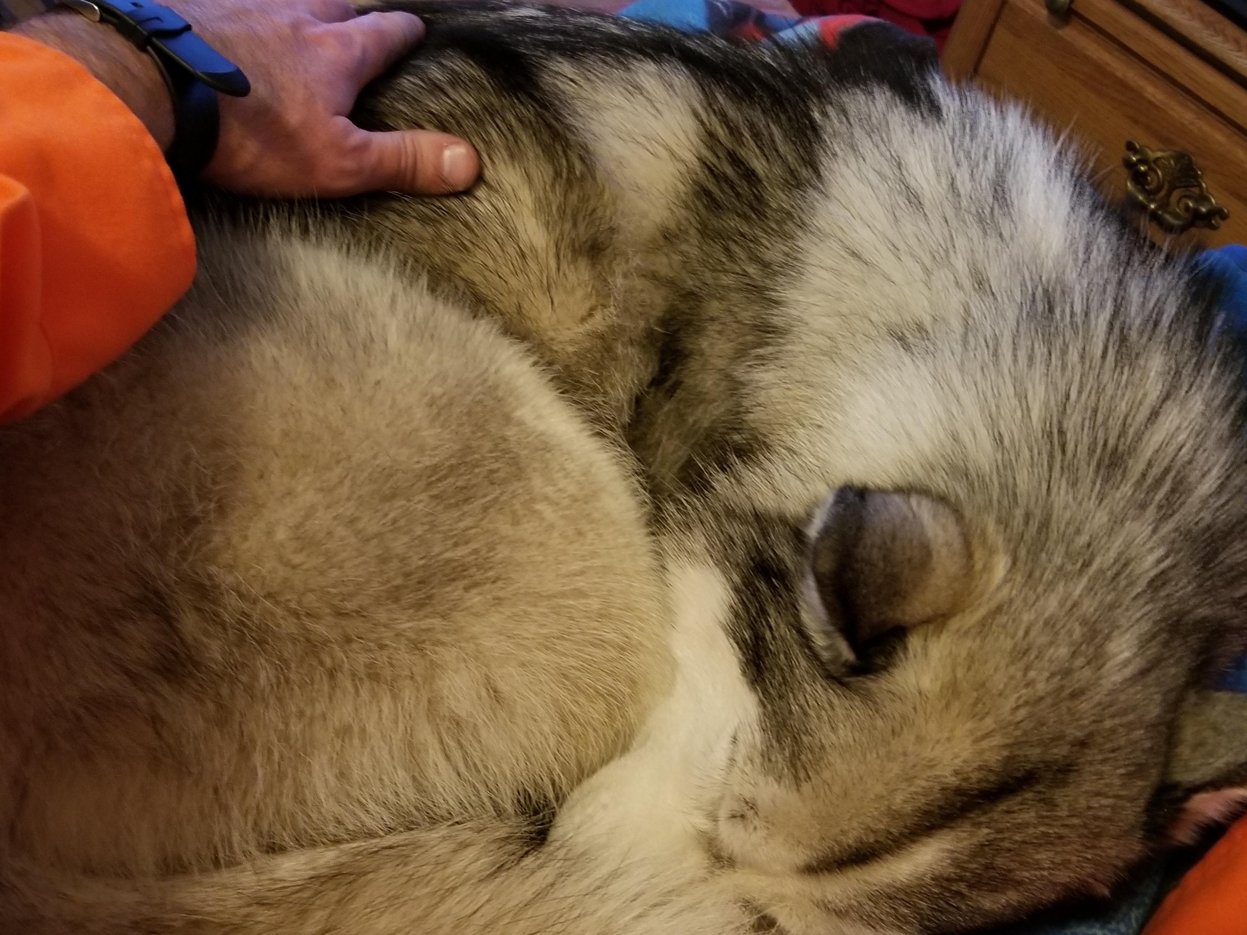 Feeling really blessed | Scrolller