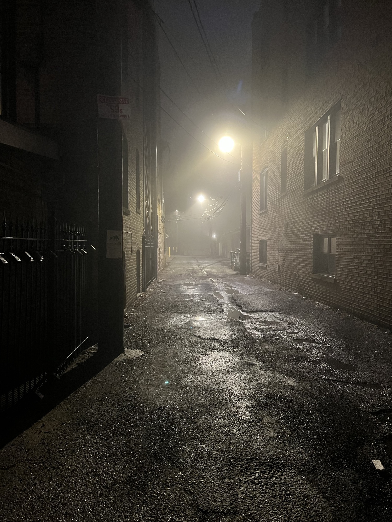 Film Noir Alley | Scrolller