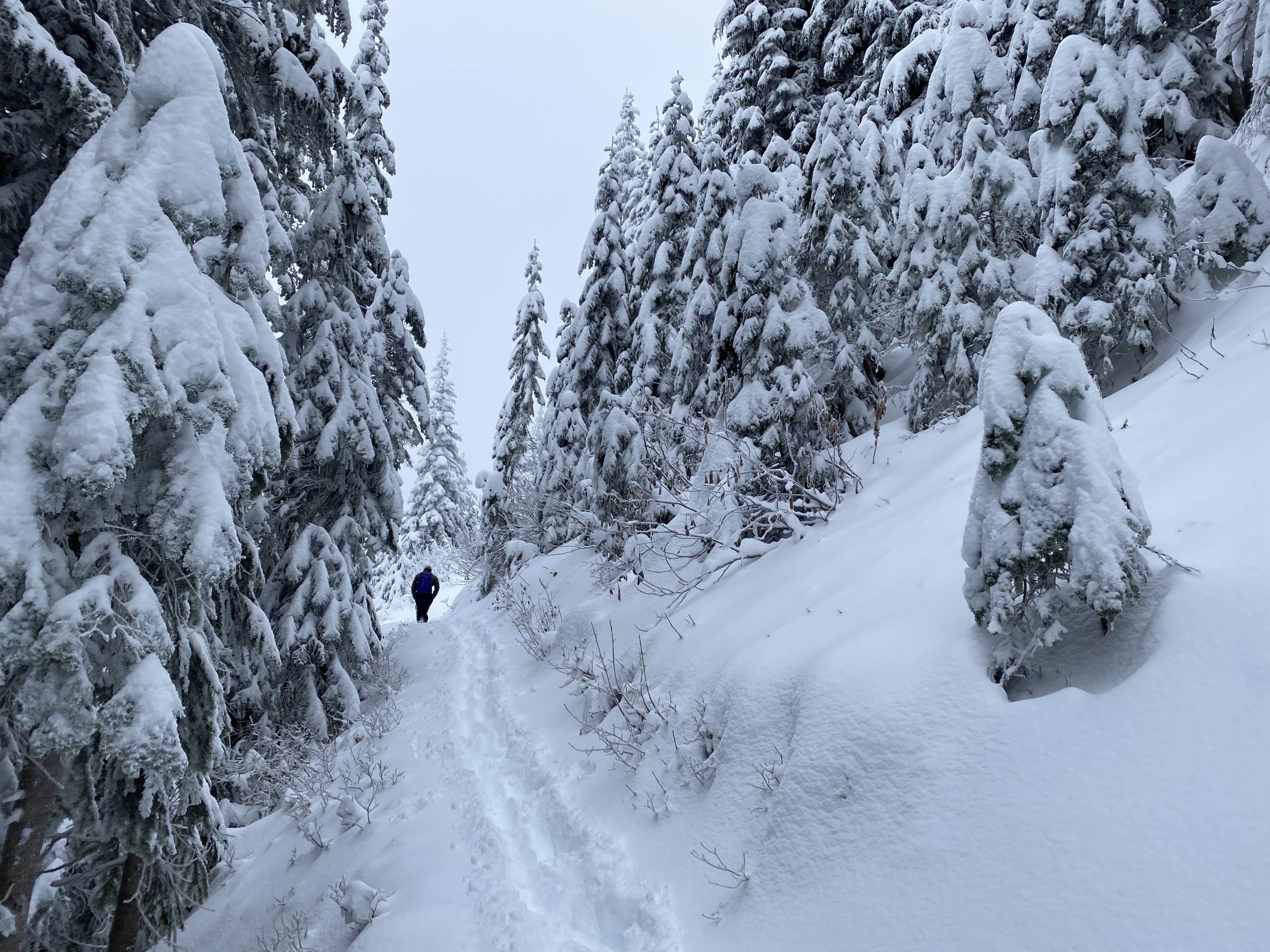 First outing of the year! Blazing the trail up | Scrolller