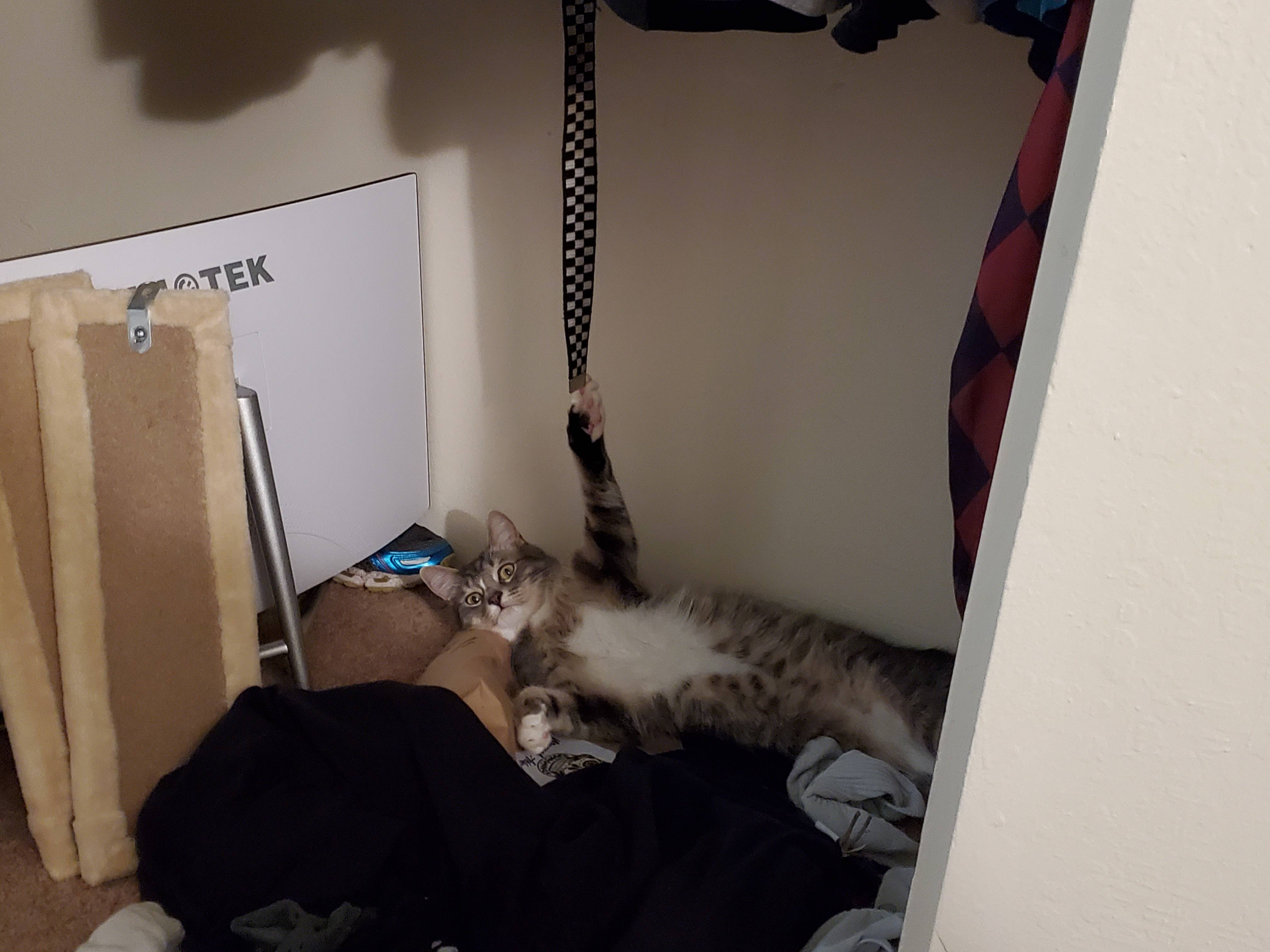 Frickin dingus got a his claw stuck. | Scrolller