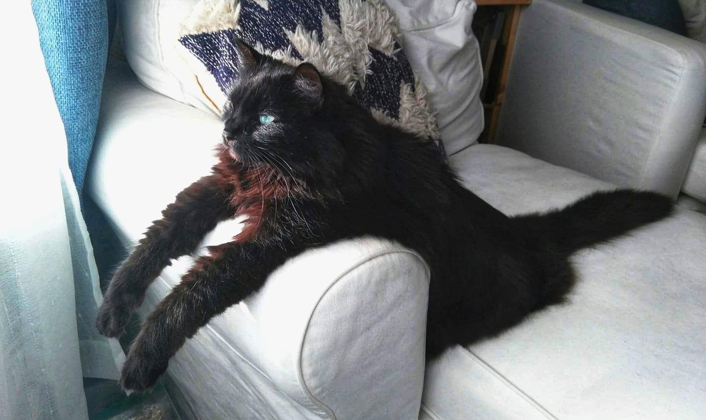 Front row seats to the squirrel show | Scrolller