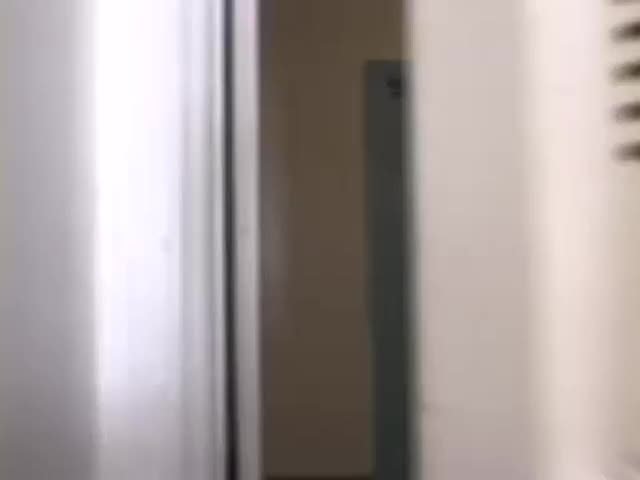 Full vid? Evelyn Lin | Scrolller