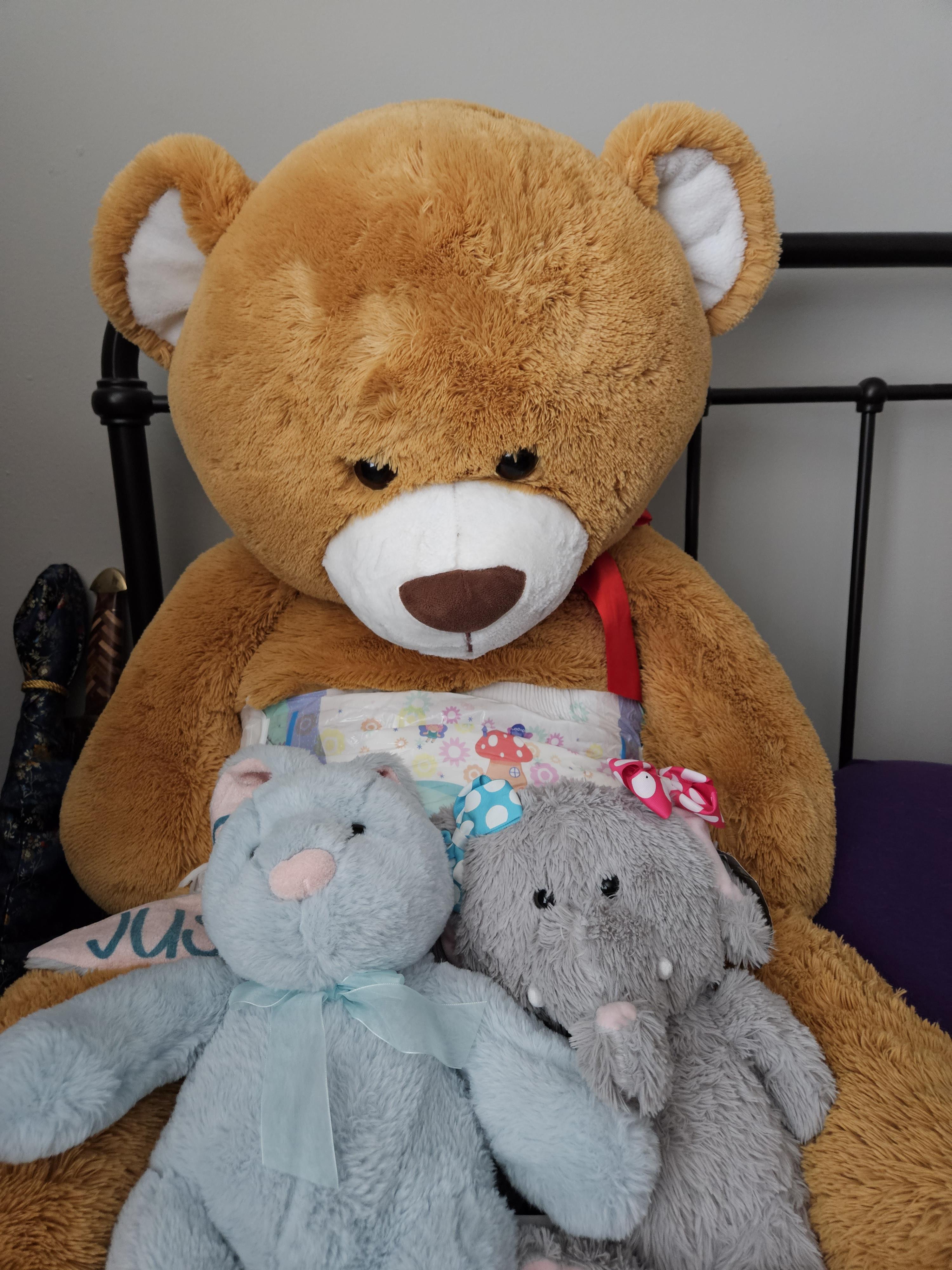 Giant Teddy! | Scrolller