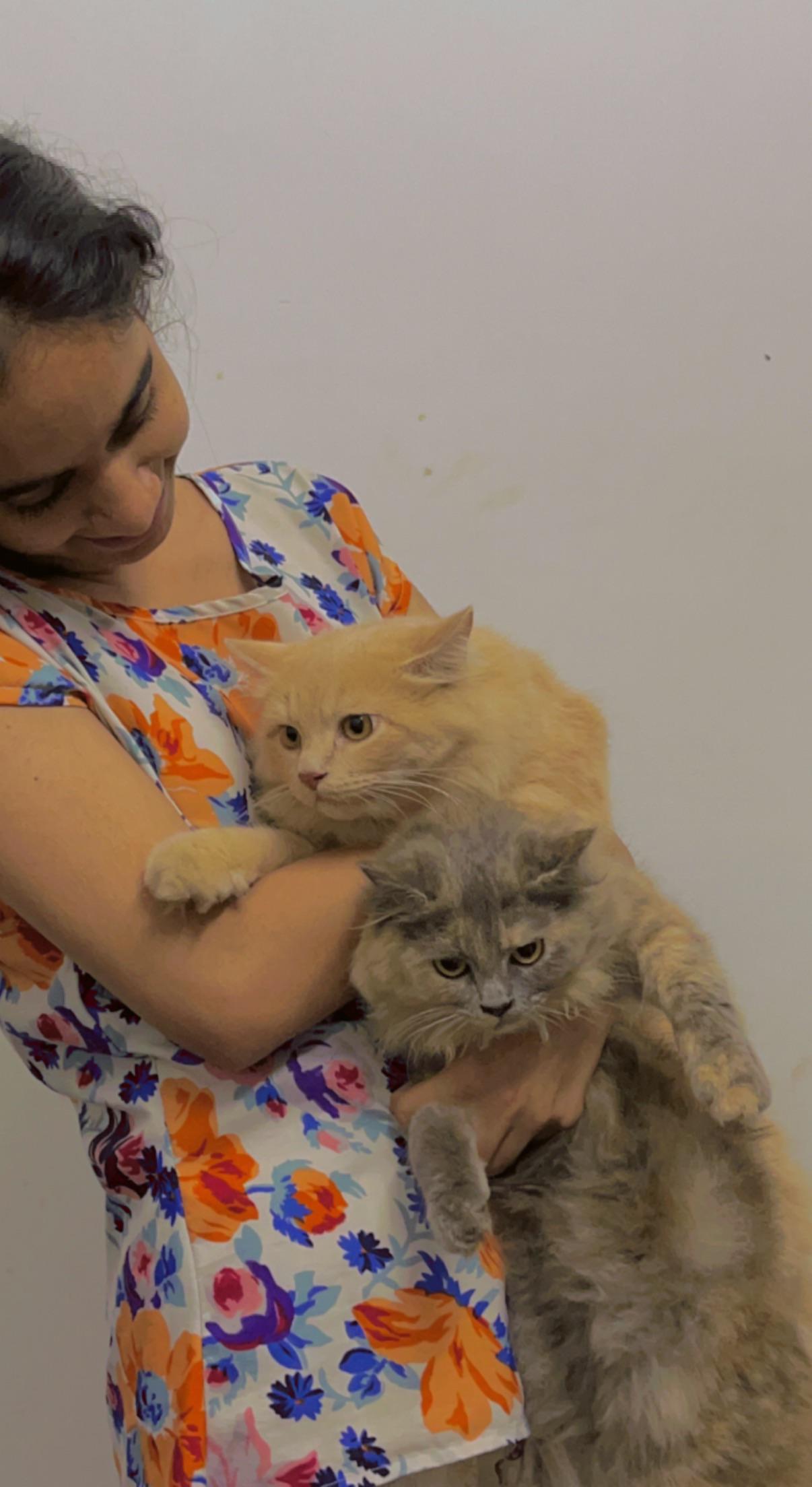 Ginger and Pepper | Scrolller