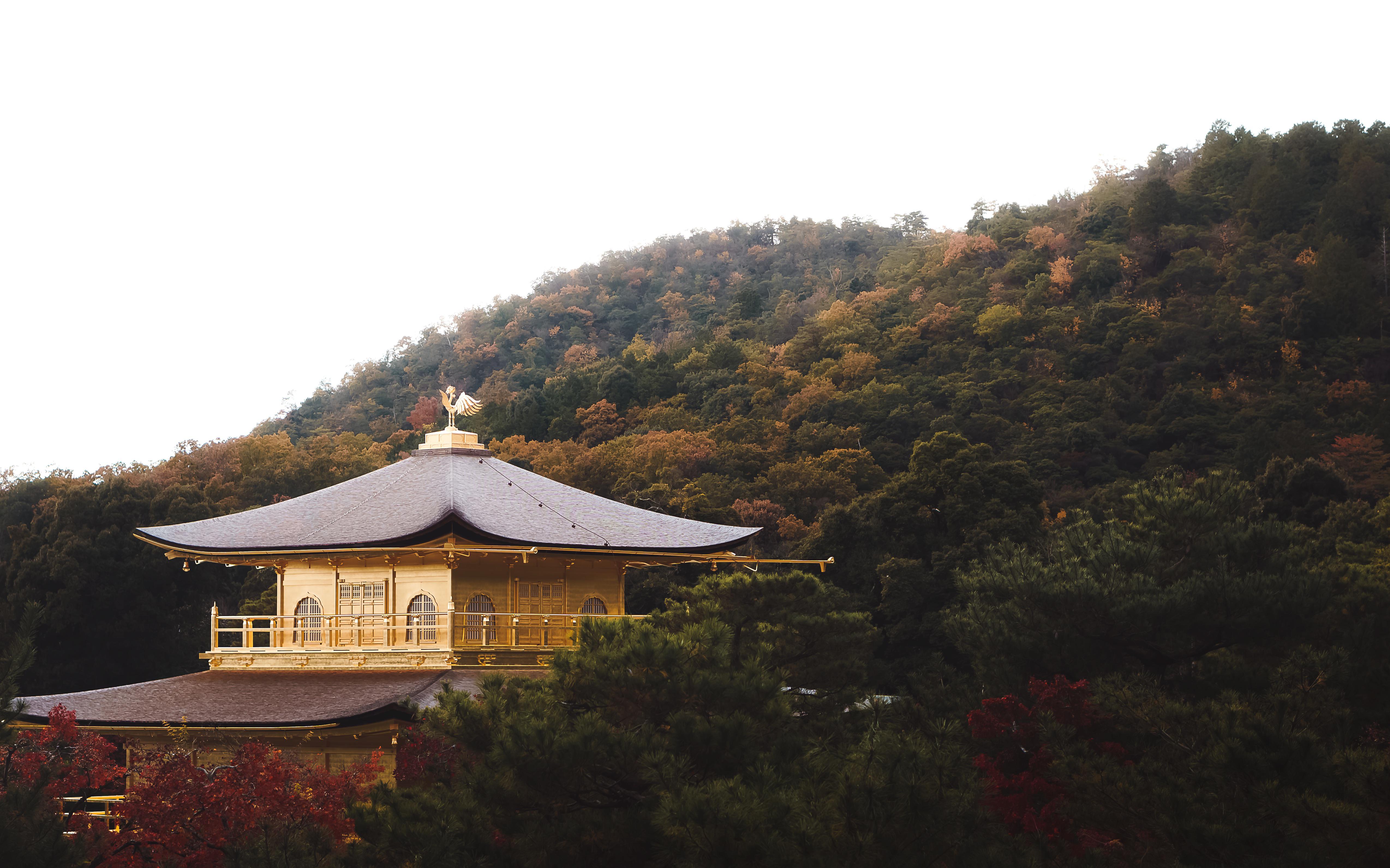 Ginkaku-ji | Sony 50mm f1.8 | Scrolller