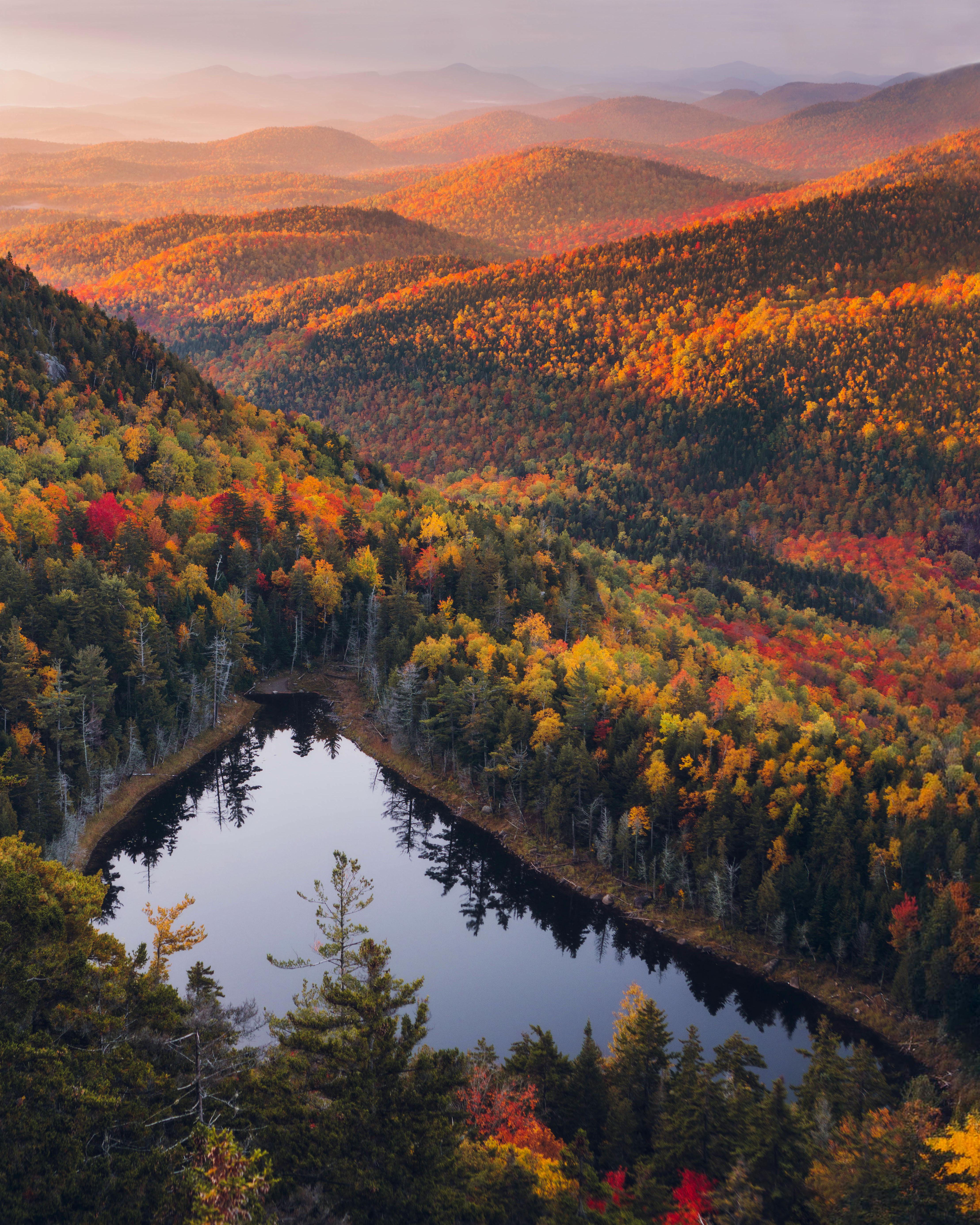 Golden hour fall foliage - a6000 + Sony E 35mm f1.8 | Scrolller
