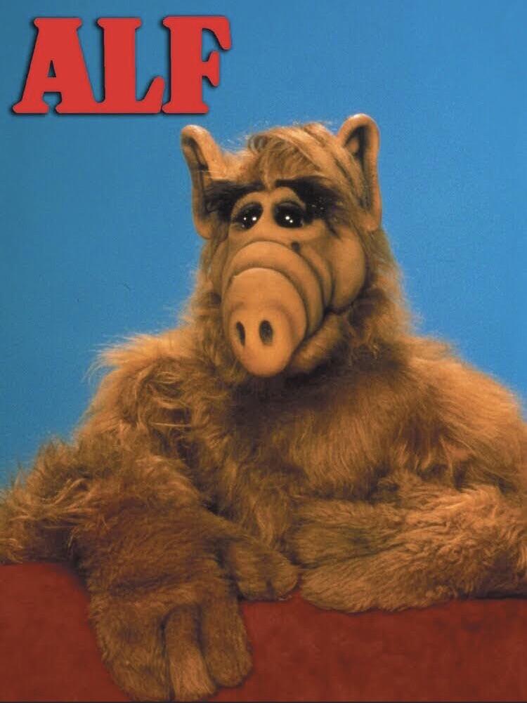 Gordon Shumway a.k.a. ALF | Scrolller