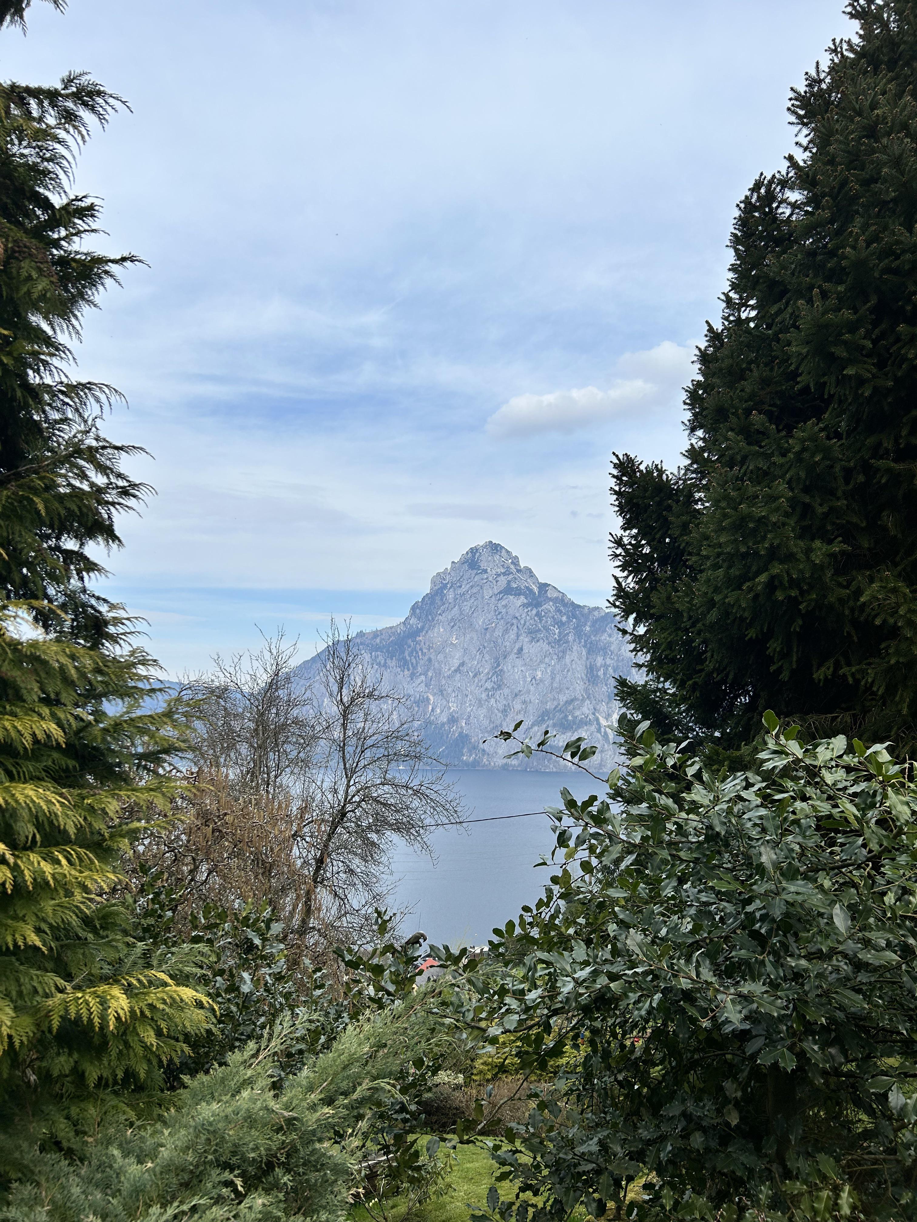 Gorgeous view from above - Traunsee, Austria | Scrolller