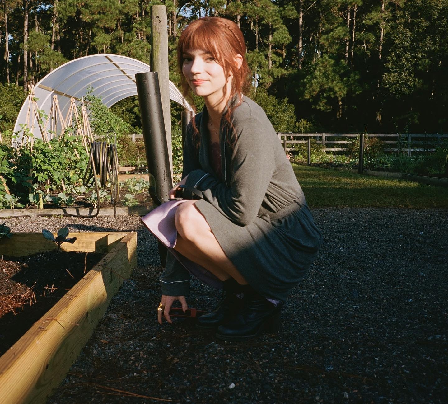 Greenhouse | Scrolller