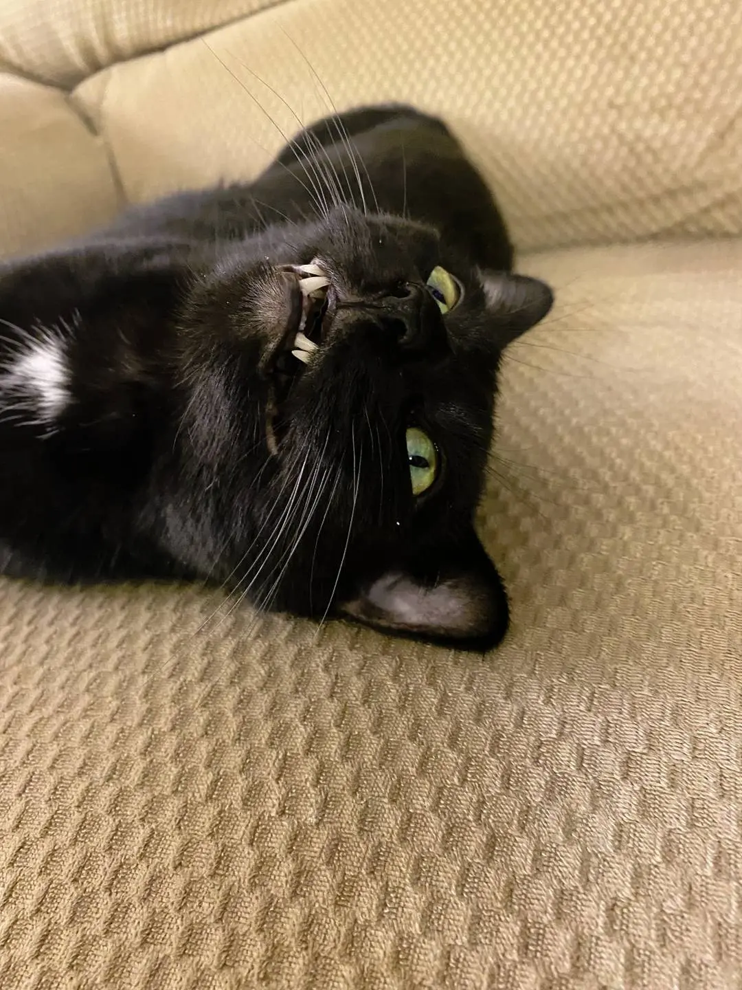 Grin Scrolller