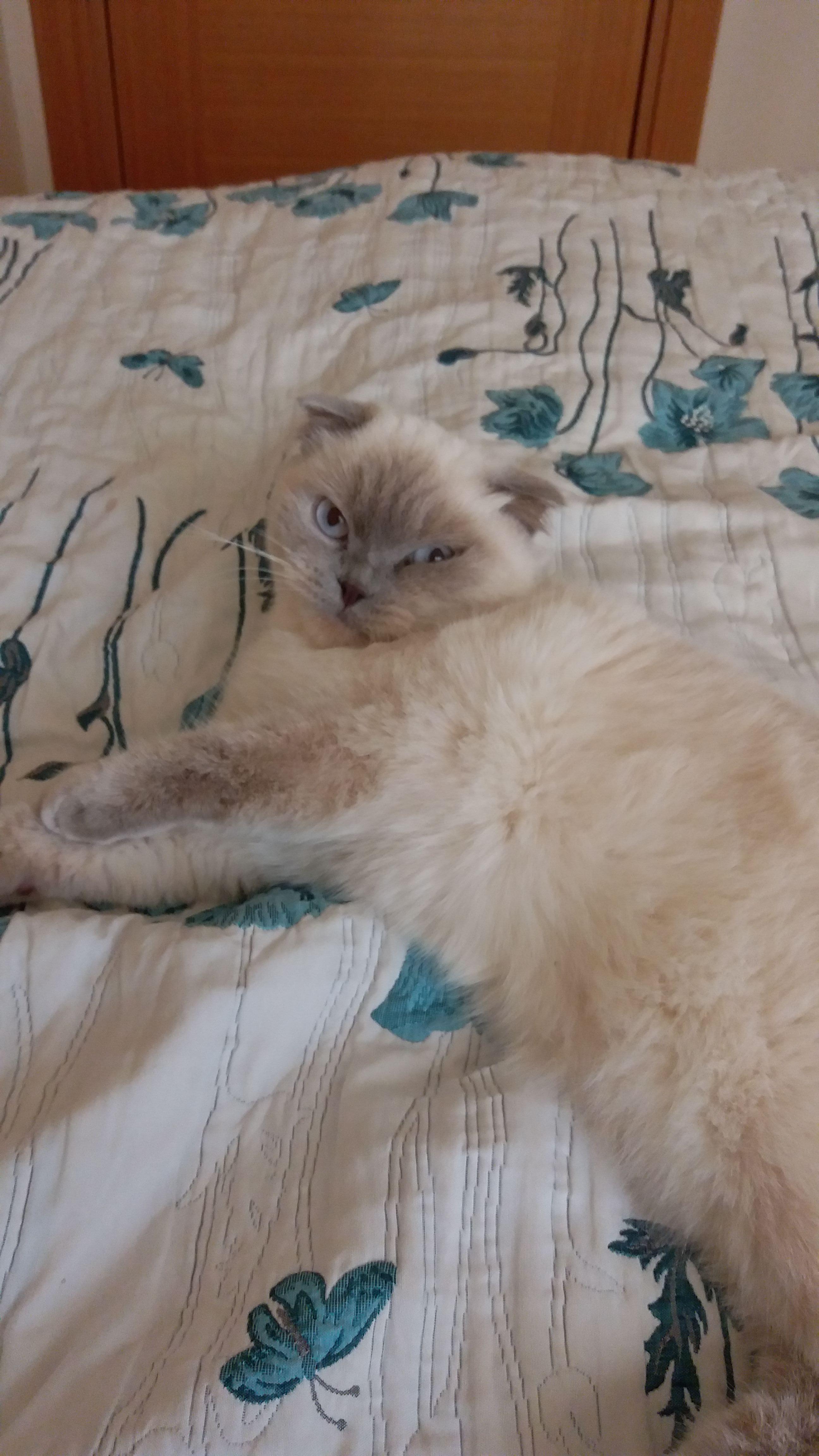 Grumpy and looks like she's about to attack | Scrolller