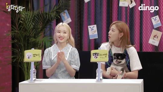 Hayoung in awe | Scrolller