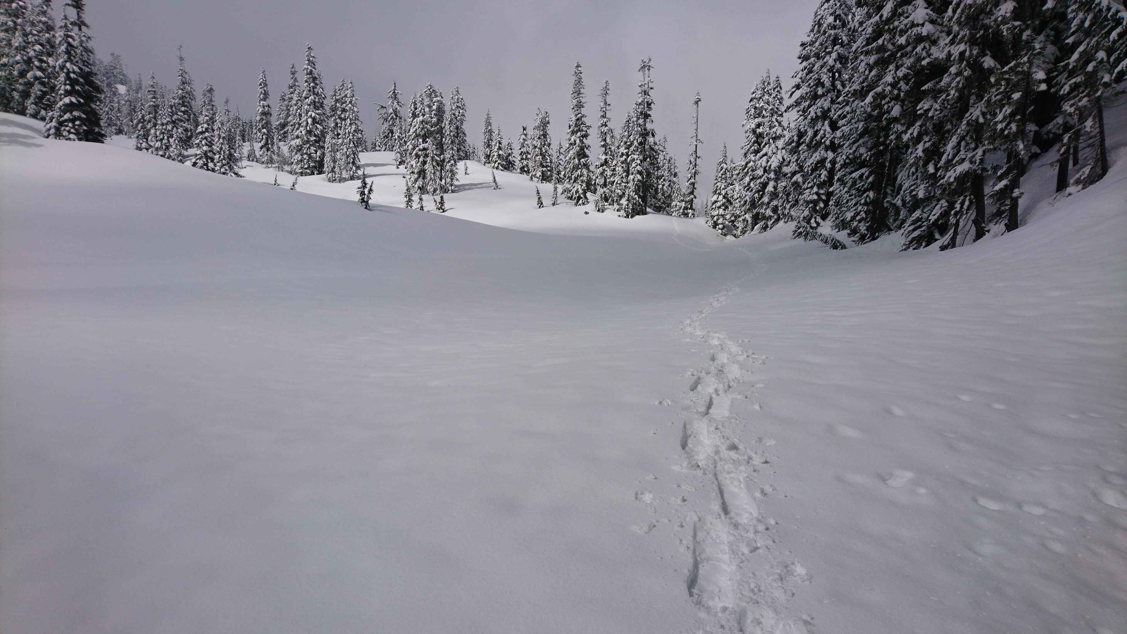 Headed to Avalanche mountain | Scrolller