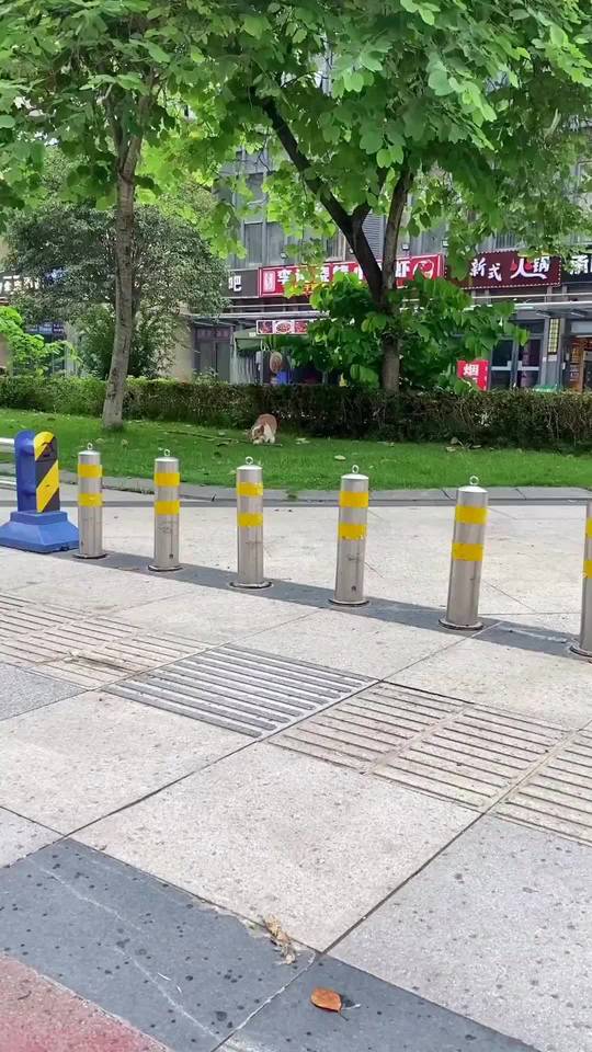 Height advantage. | Scrolller