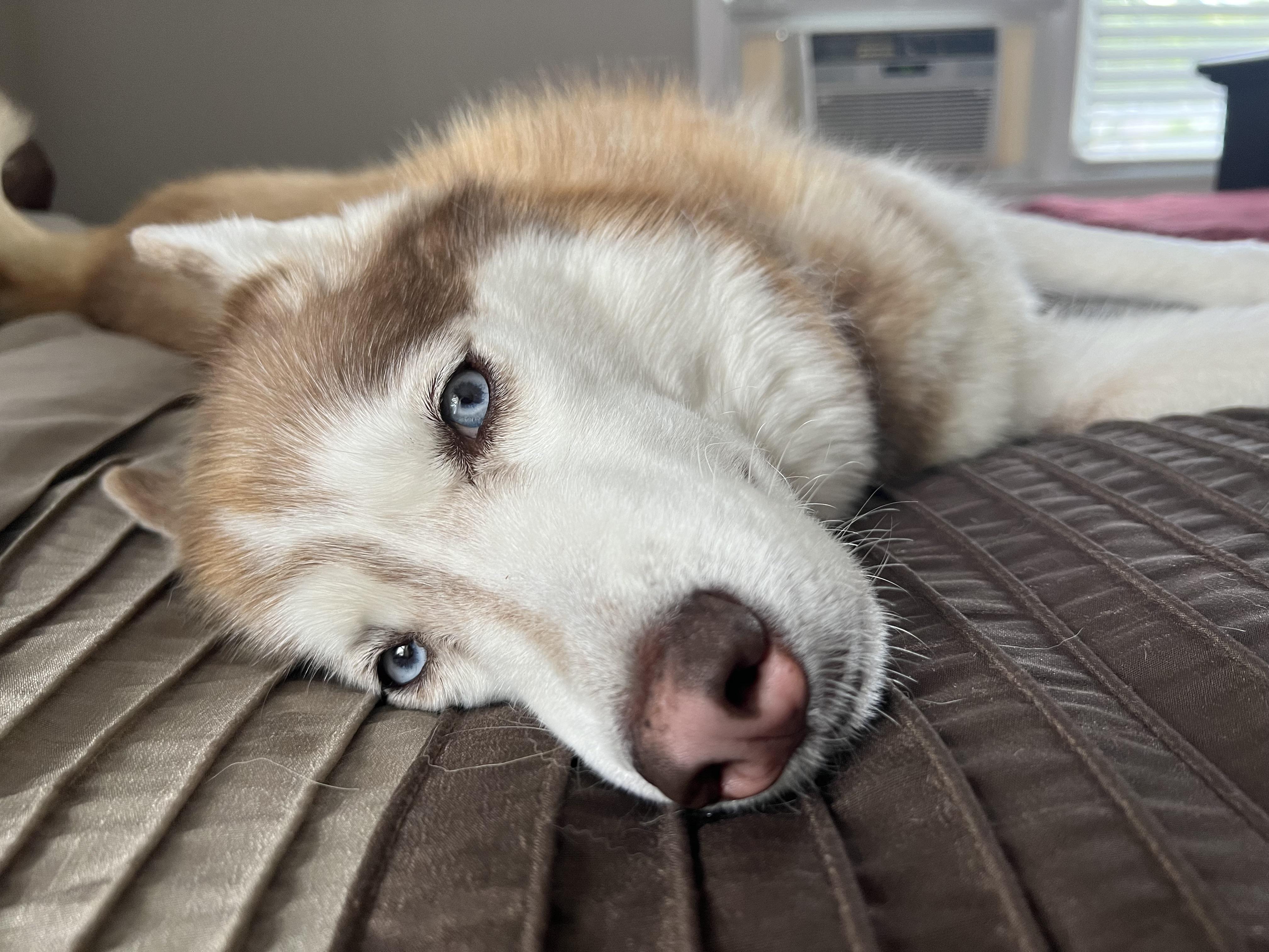 her sleepy eyes are my favorite. | Scrolller