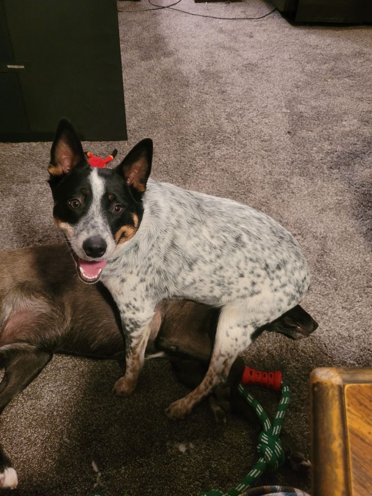 Hi mom, nothing is wrong here! | Scrolller