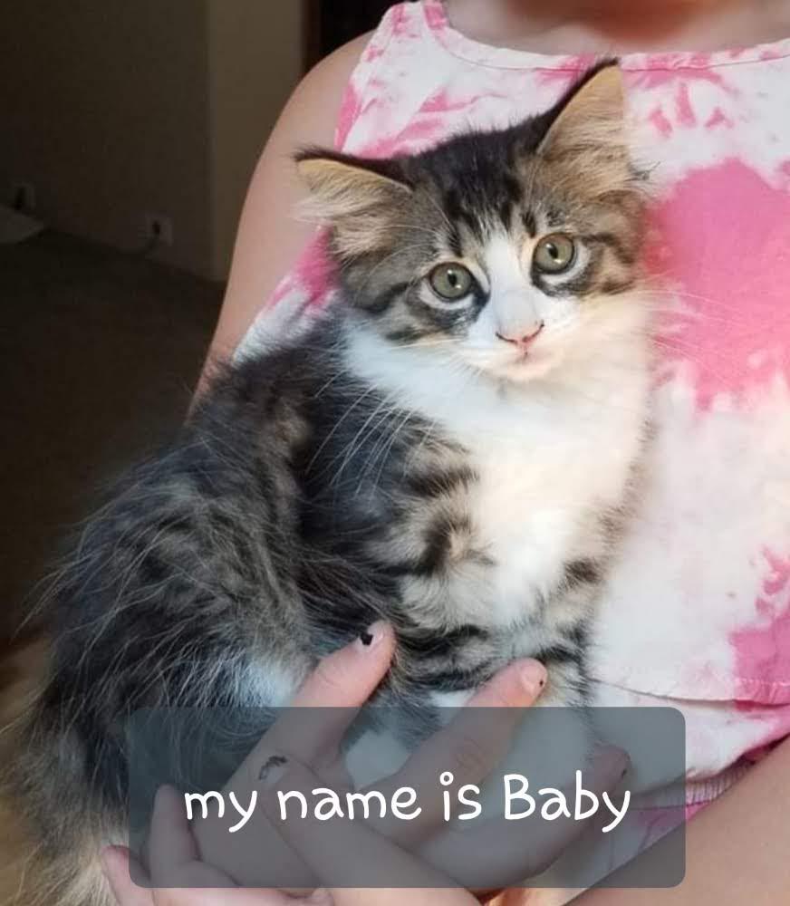 how it all began | Scrolller