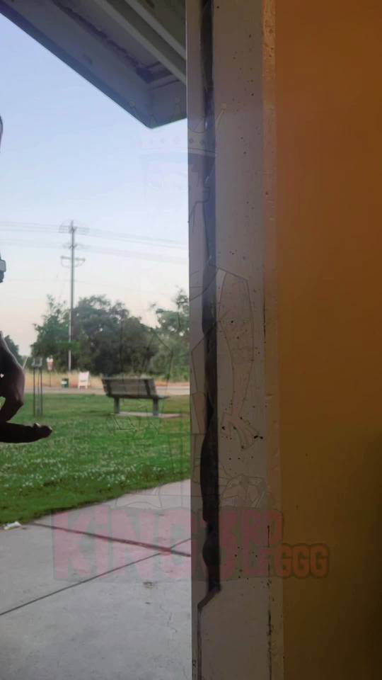 I love busting a nut outdoors 🍆💦 | Scrolller