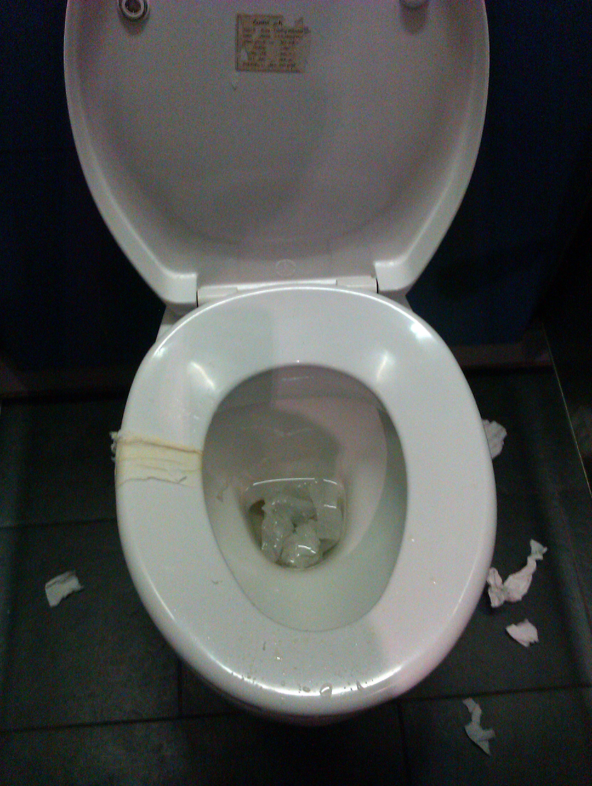 I only really feel comfortable shitting in a gross public toilet. | Scrolller