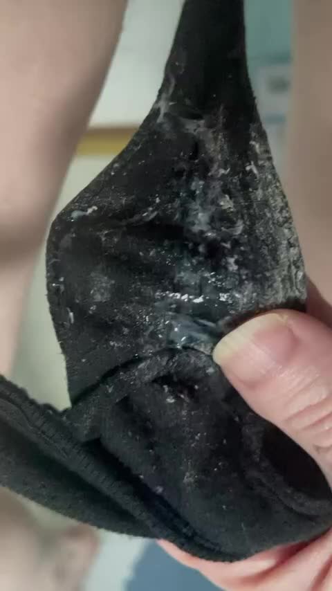I Showed Him My Wet Panties And He Came Over Immediately 🤤 Scrolller 