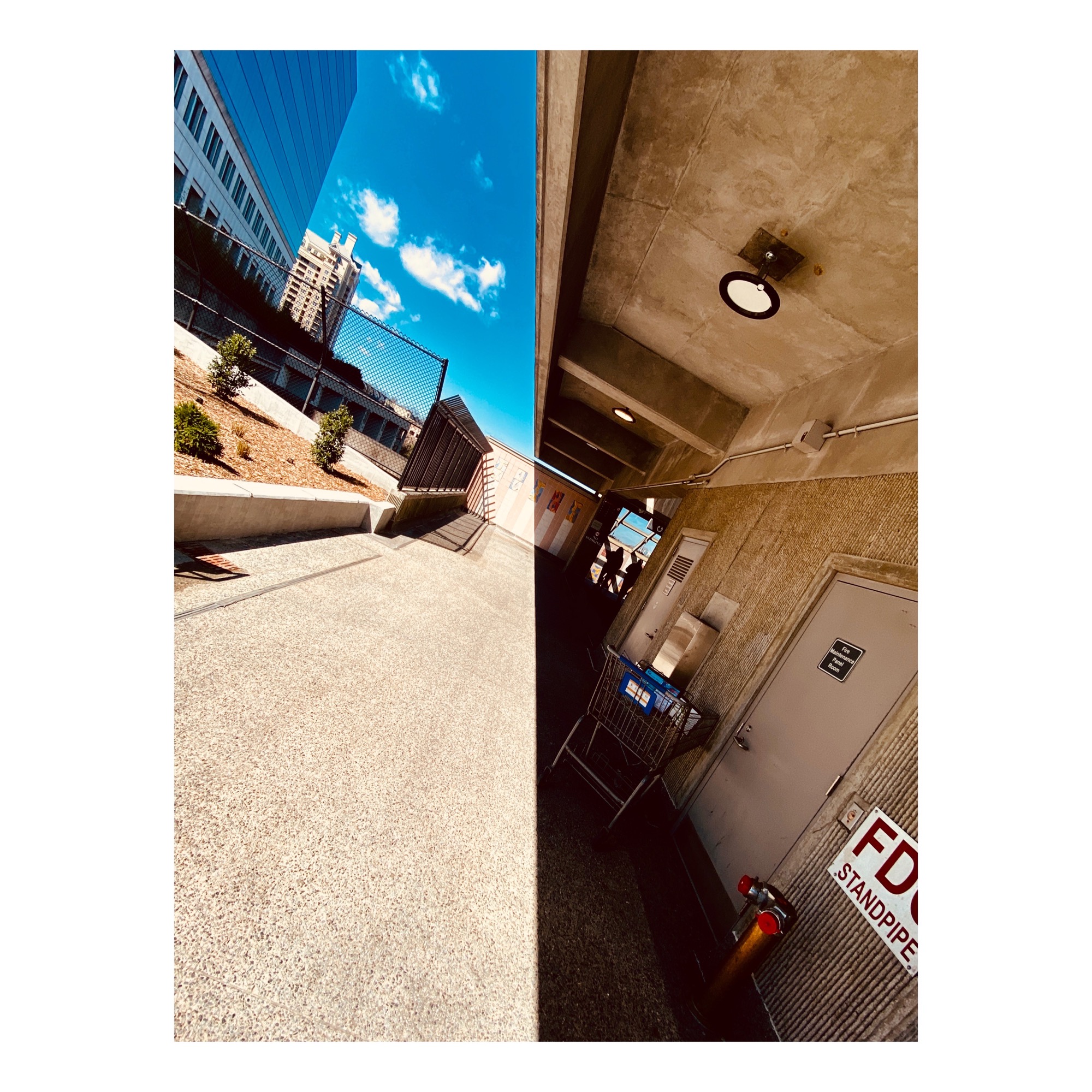 ITAP of a shadow | Scrolller