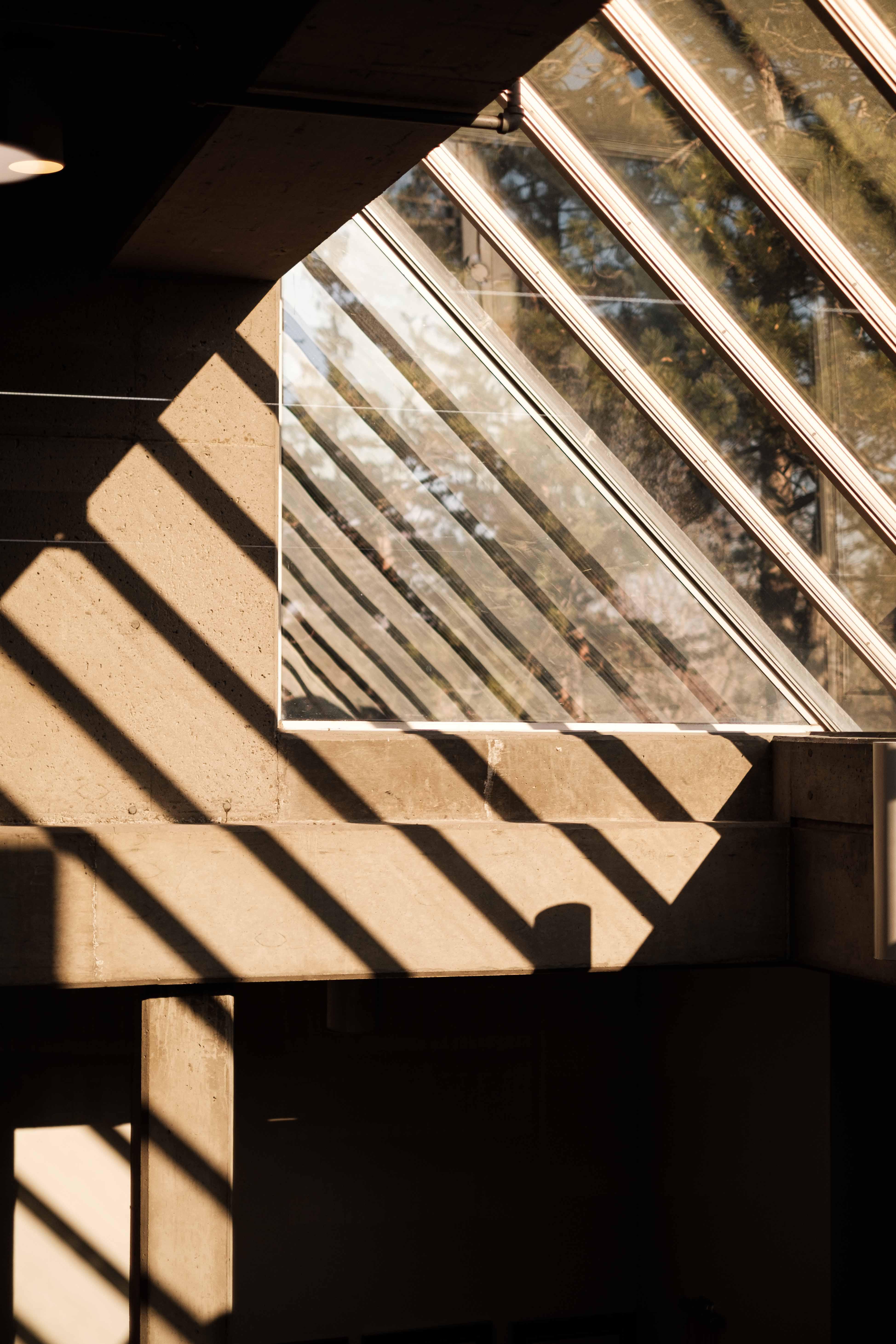 ITAP of askylight showcasing the perfect dance of light, reflection & mullions | Scrolller