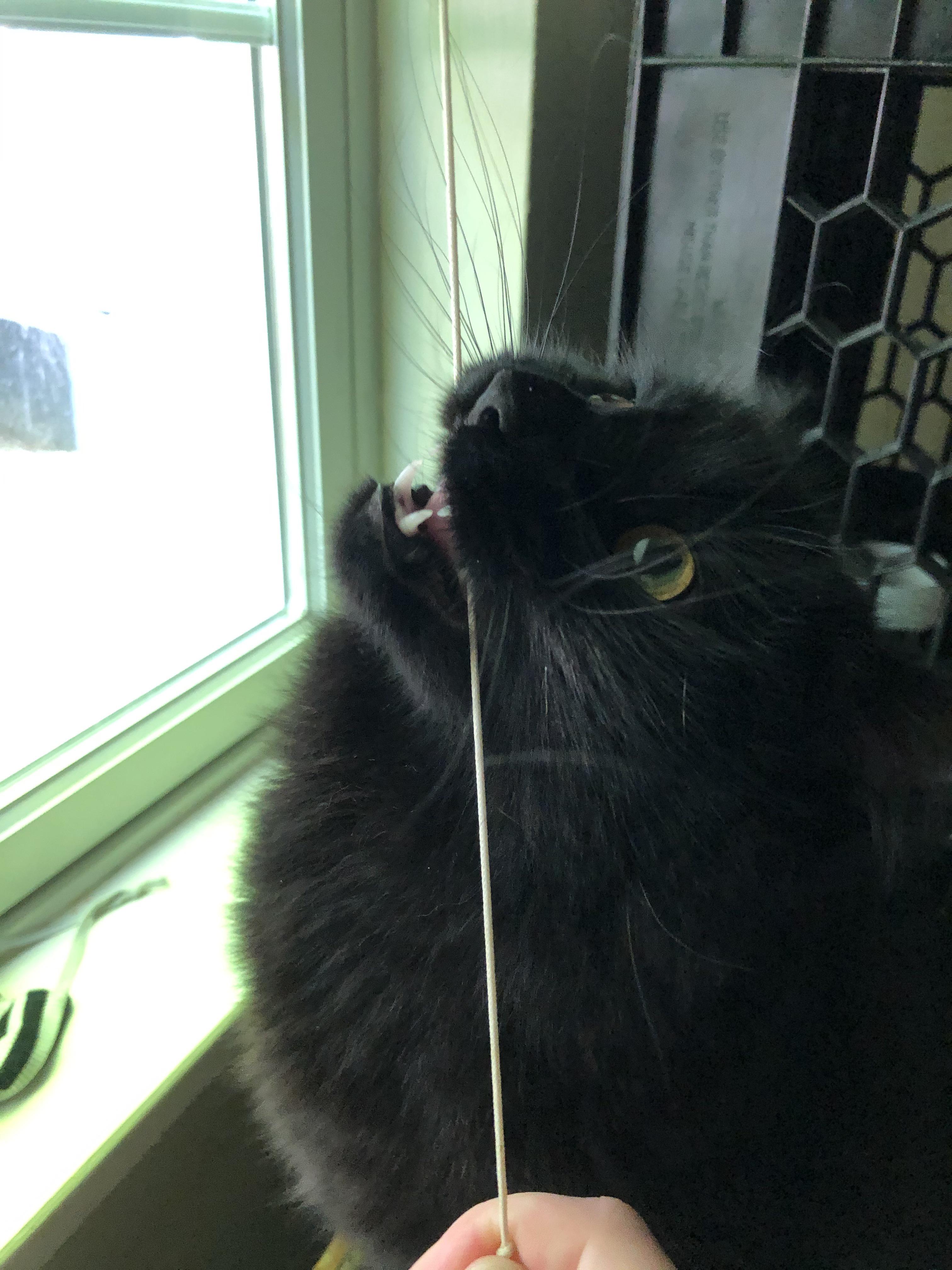 *Jaws theme begins to play* | Scrolller