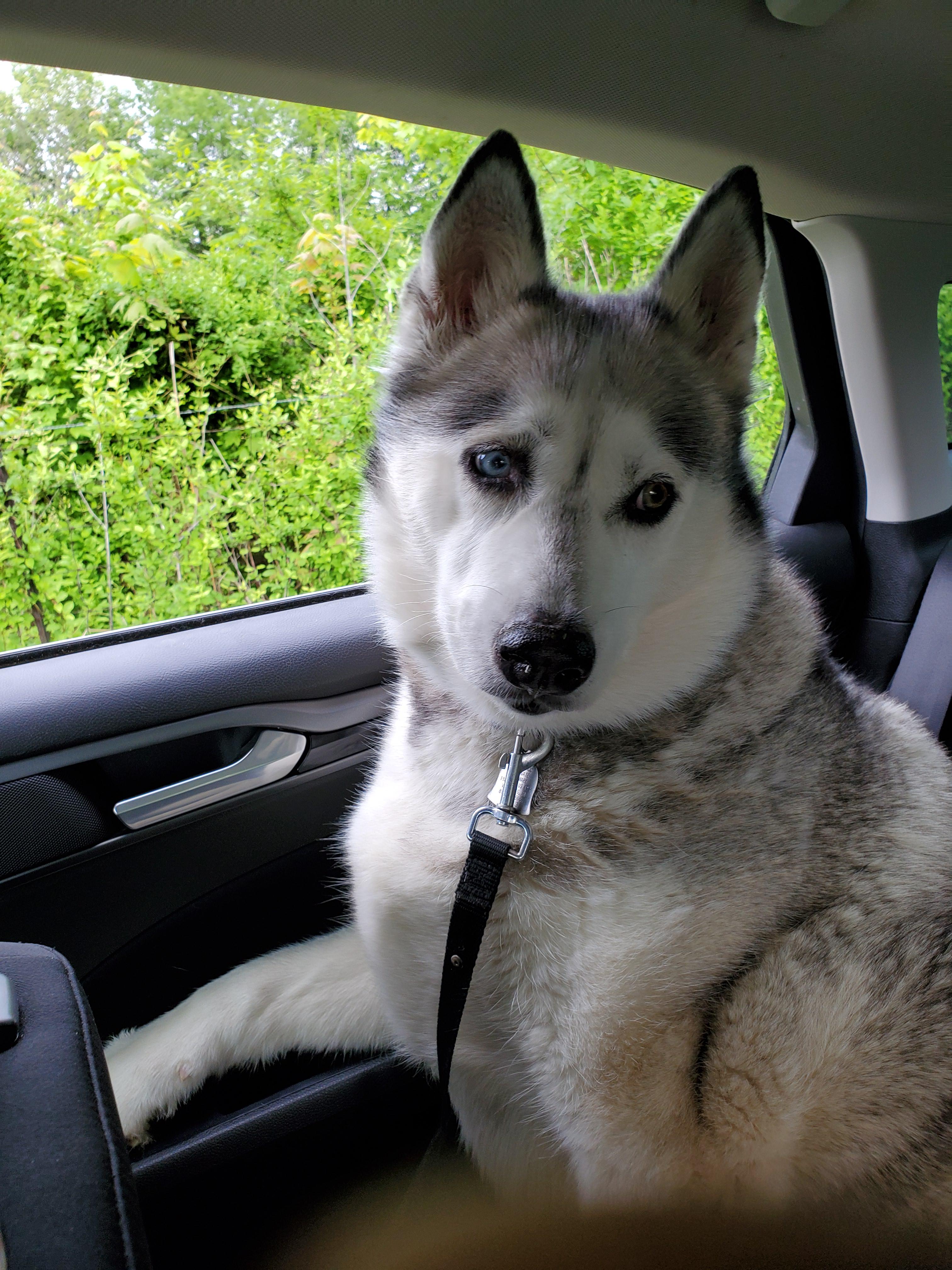 Just cruising so funny how she uses arm rest | Scrolller