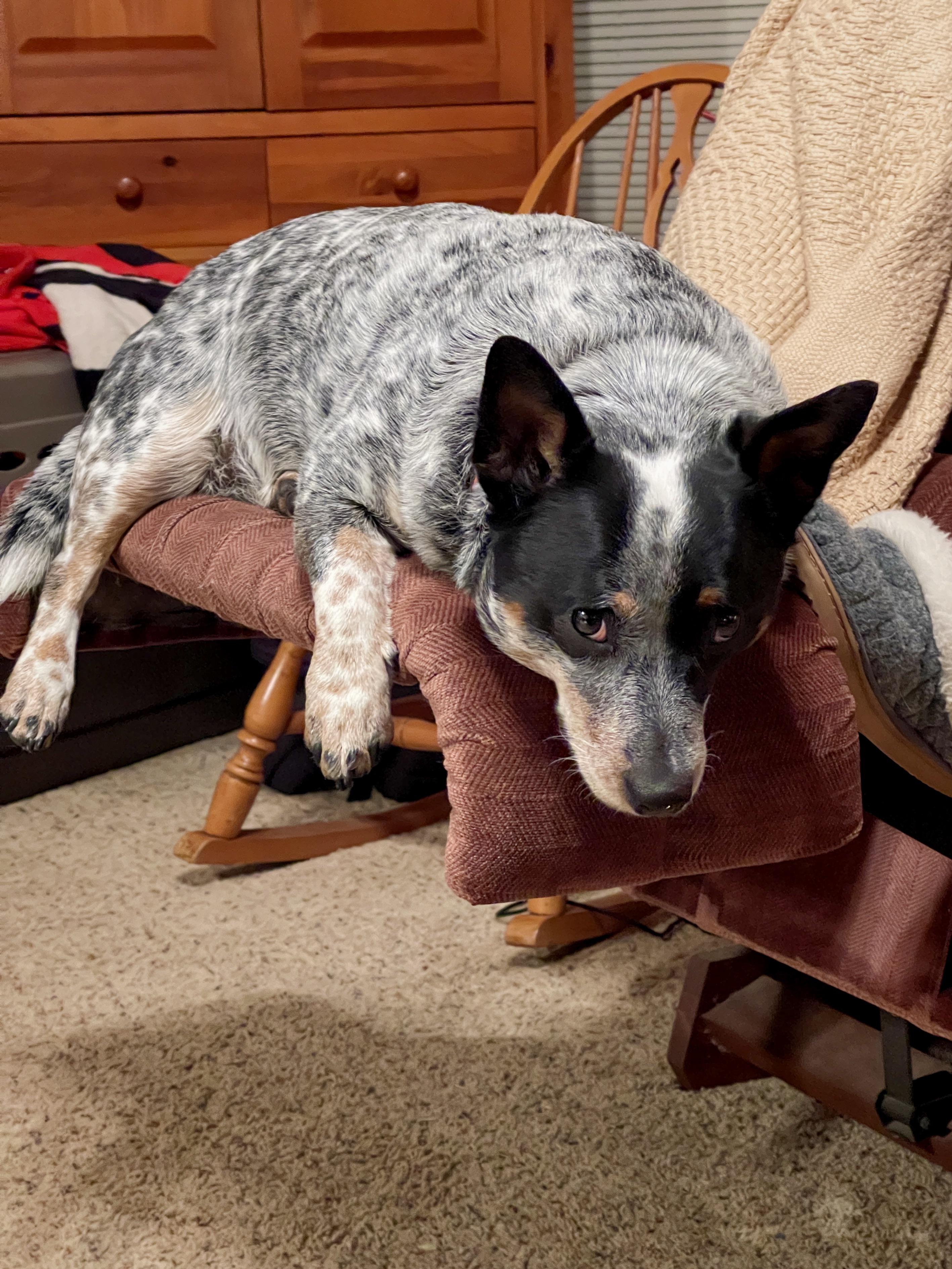 Just hangin around | Scrolller