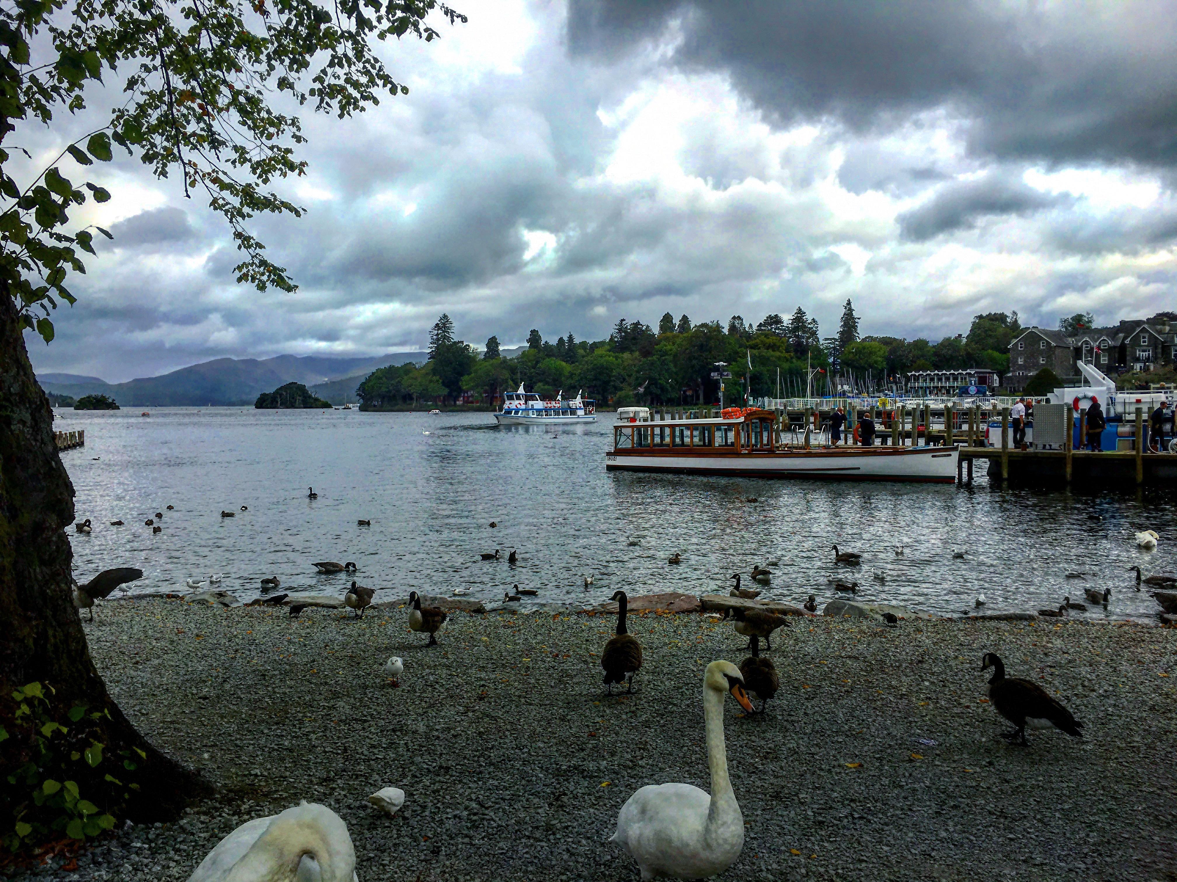 Keep calm and enjoy the view | Scrolller