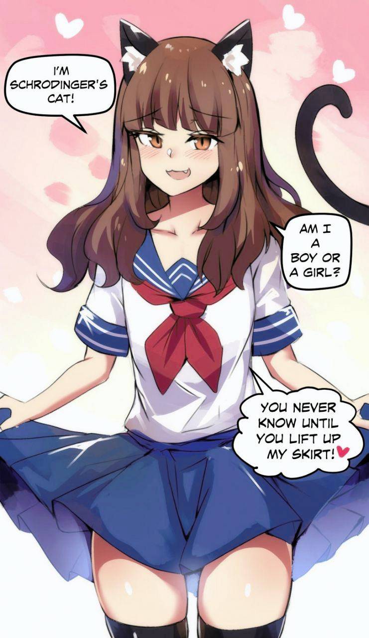 Kitty trap ️ | Scrolller