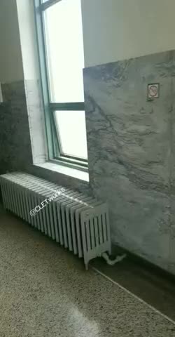 Leaving my huge load out in the open | Scrolller