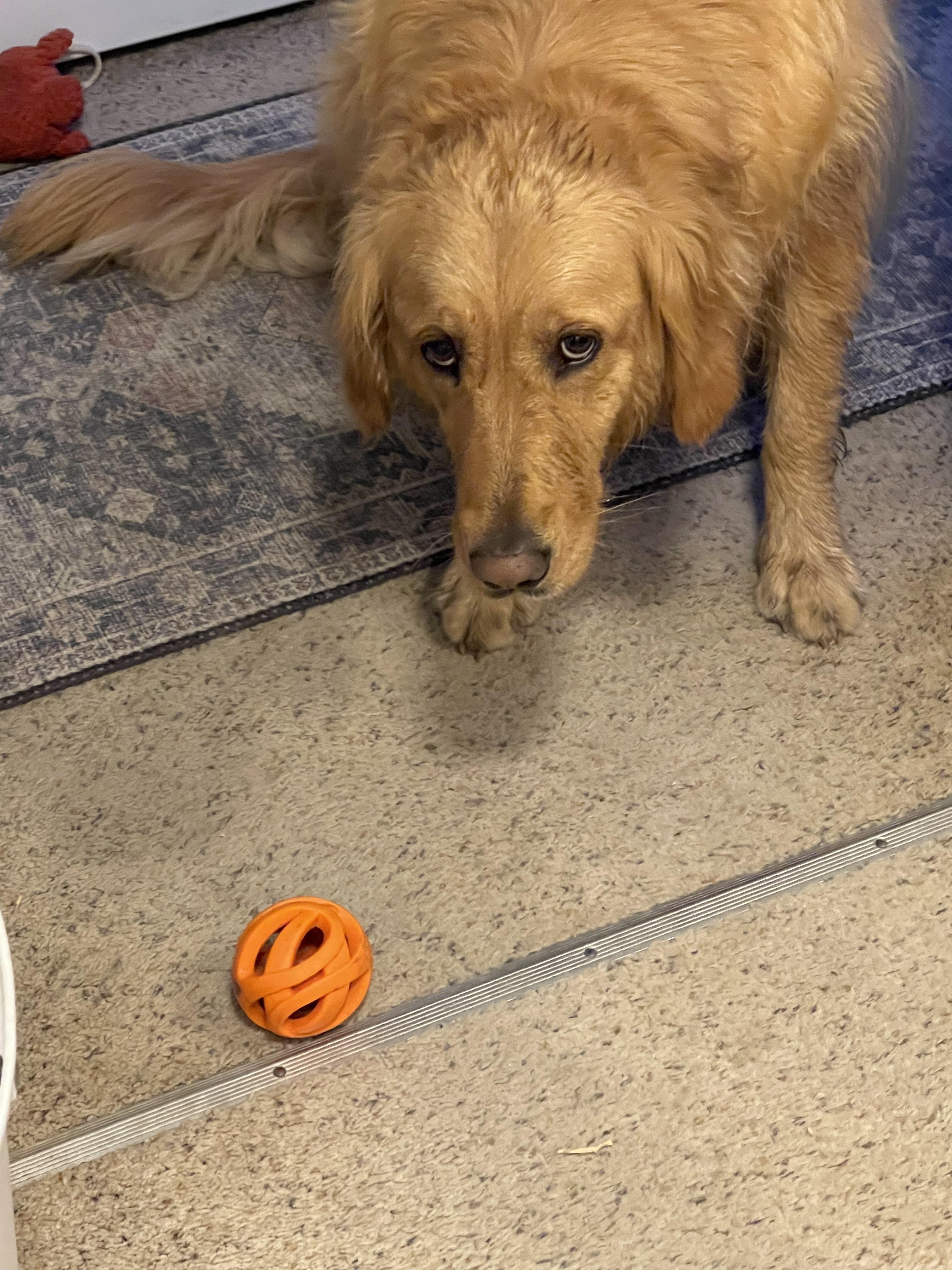 Let’s play, Pop! | Scrolller