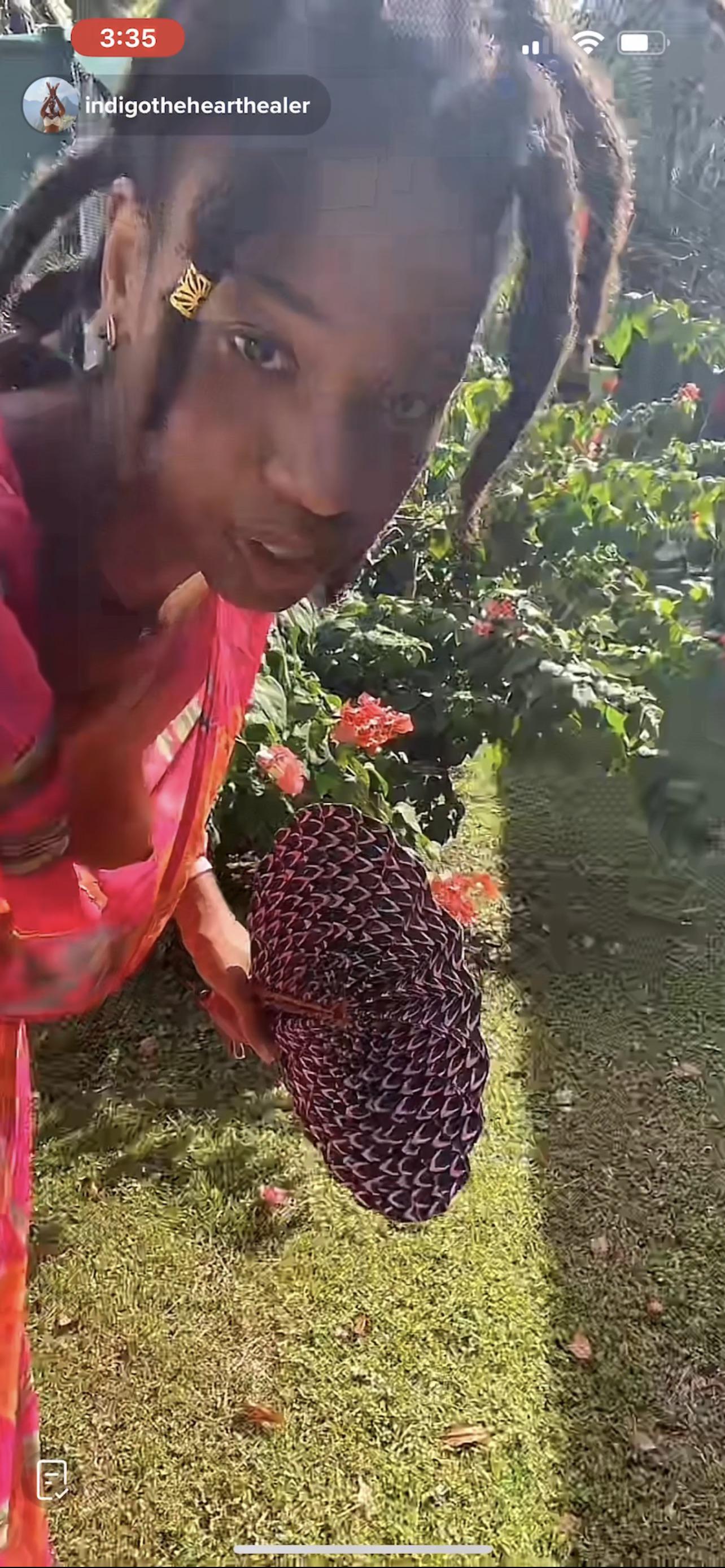 Lil quick slip | Scrolller