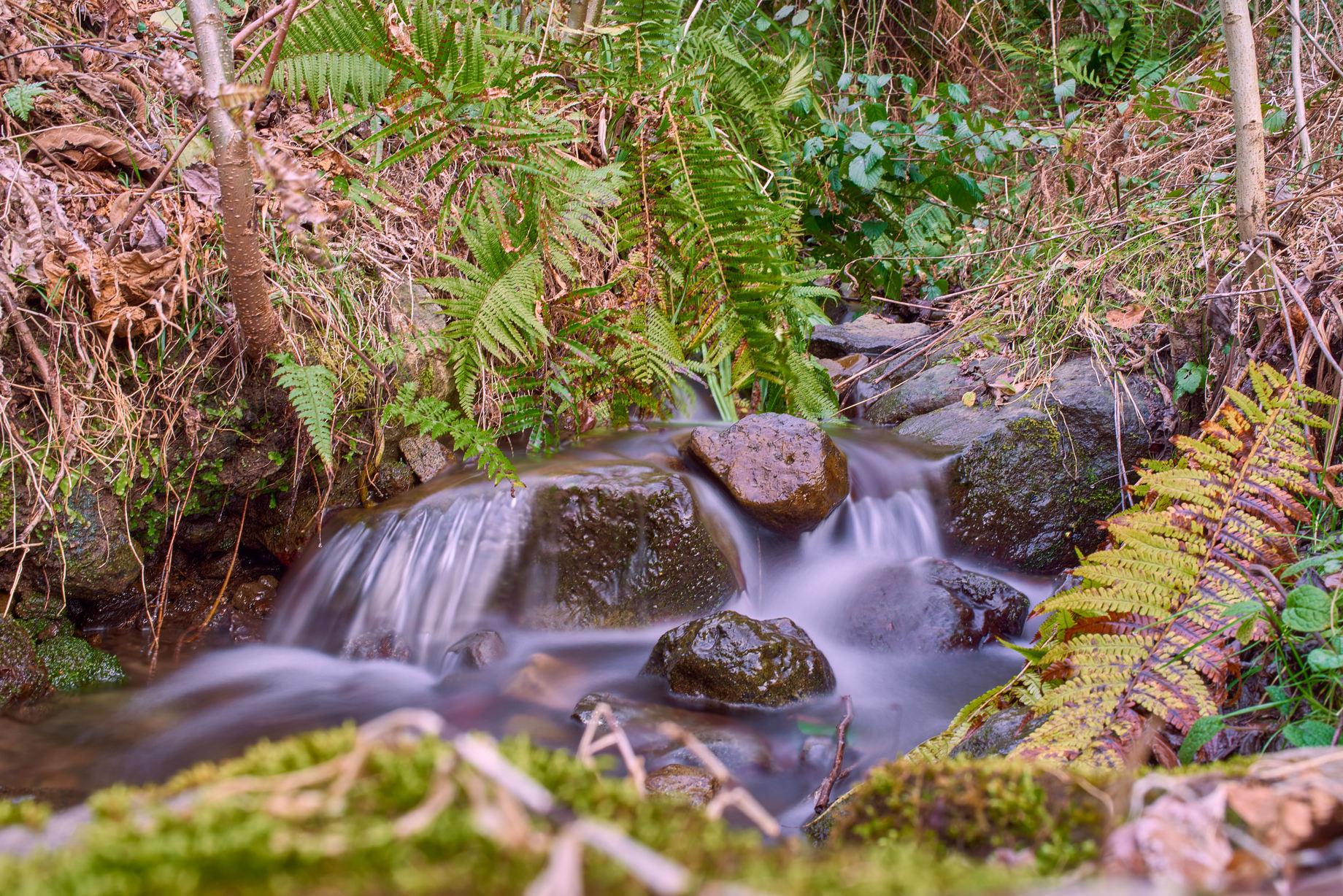 Long is the water, near Batumi [OC], [1840x1128] | Scrolller