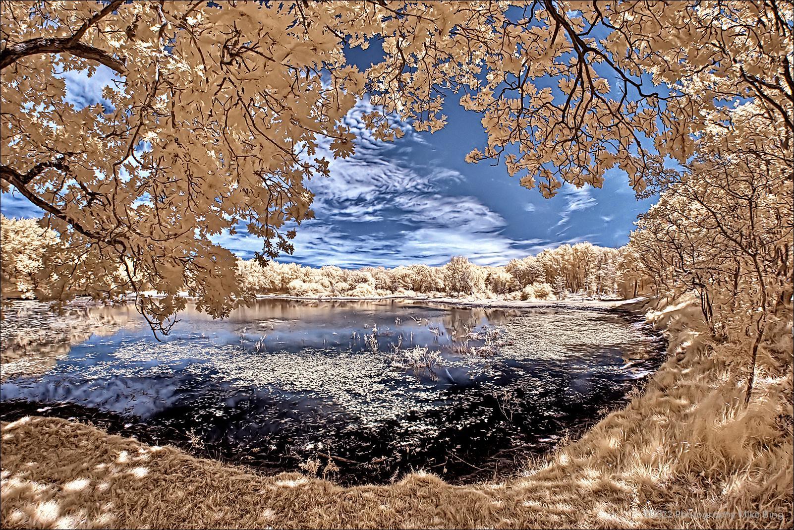 Magical dune lake | Scrolller