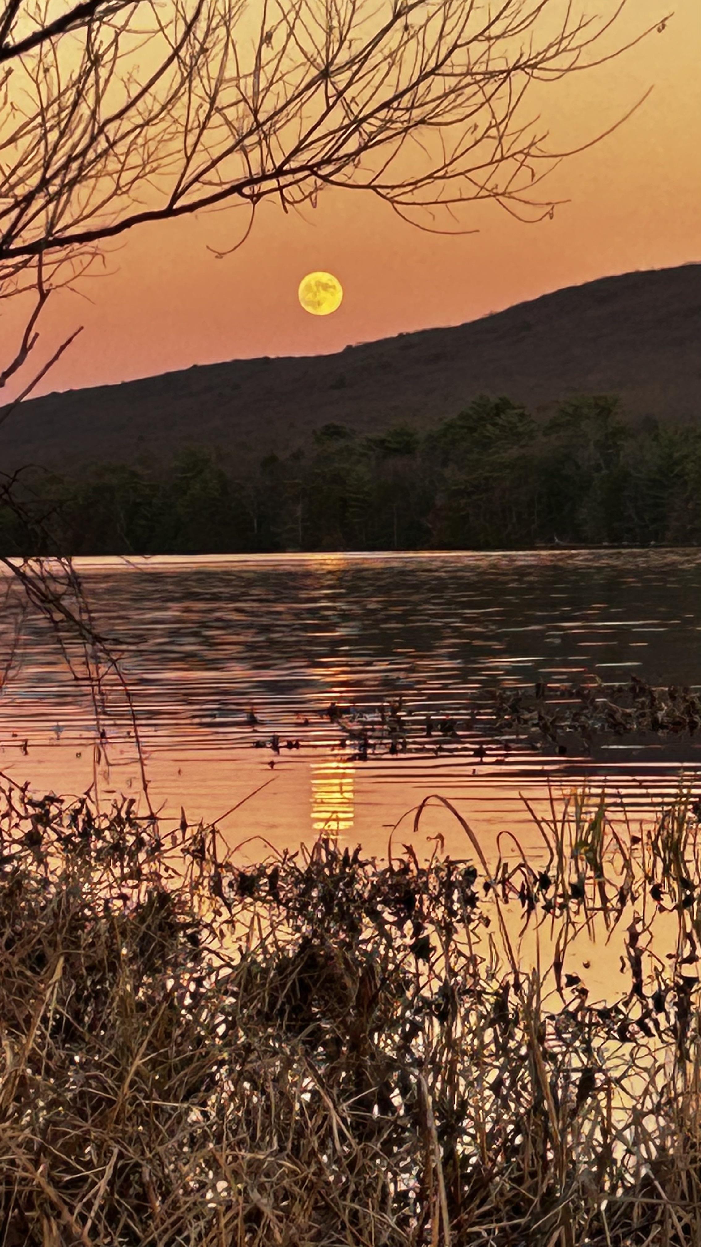 Mauch Chunk Lake Park in JimThorpe | Scrolller