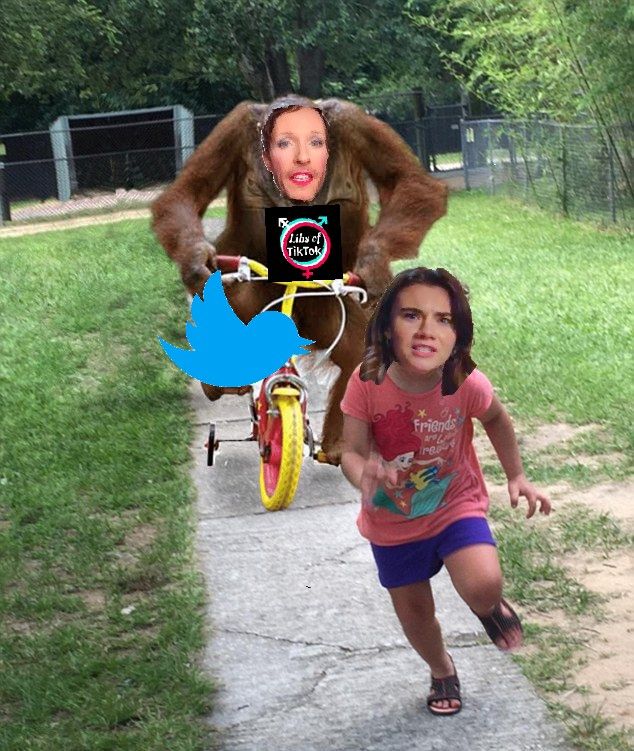 Meme: The Comments Section in a nutshell | Scrolller