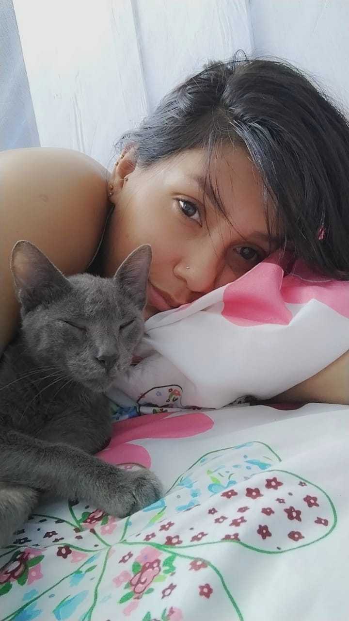 Mi gato tiene onlyfans 😻 | Scrolller