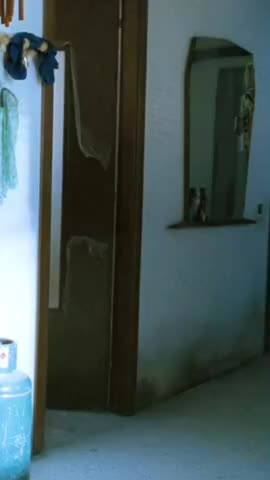 Micaela Ramazzotti | Scrolller