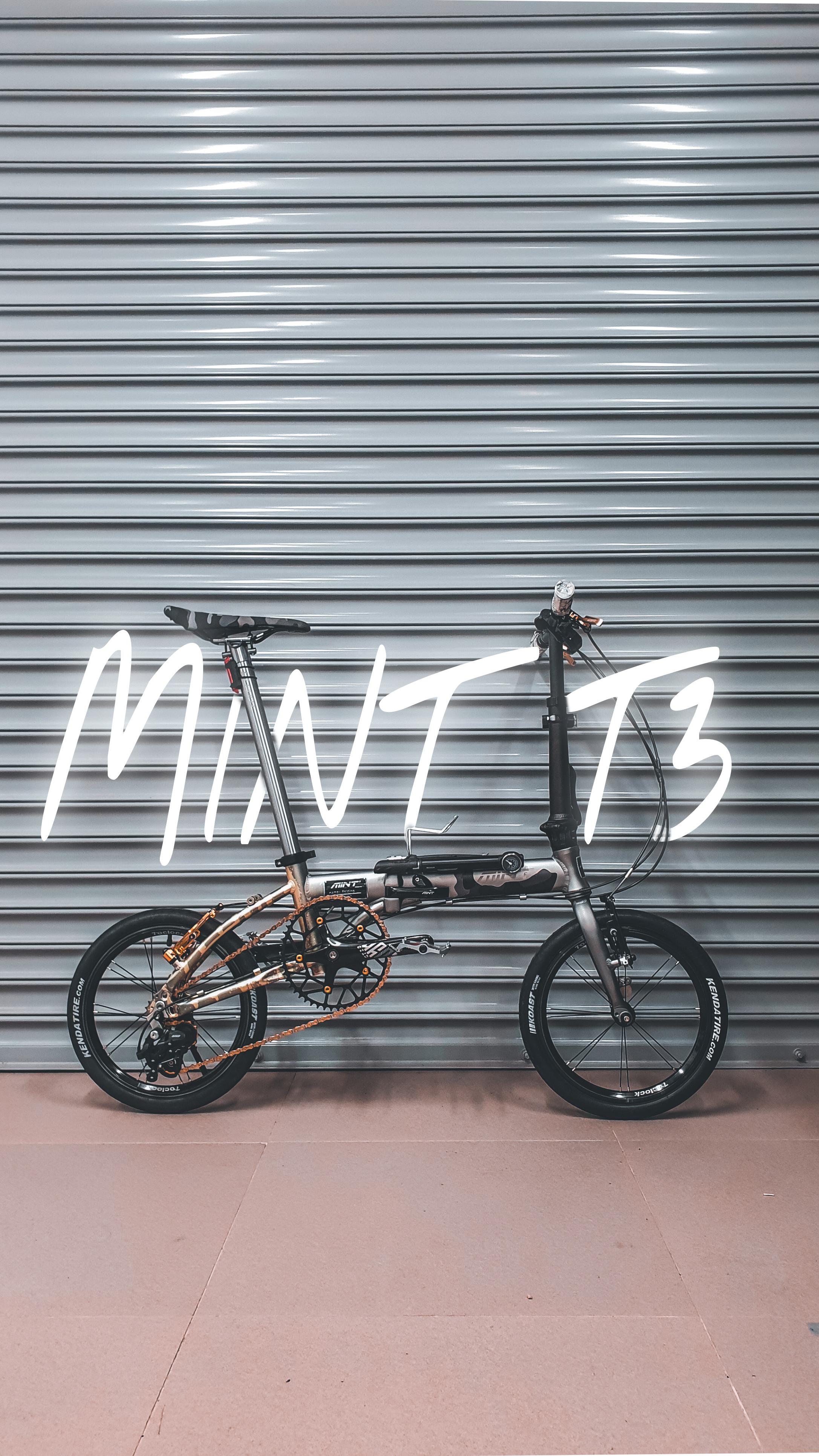 Mint t3 | Scrolller