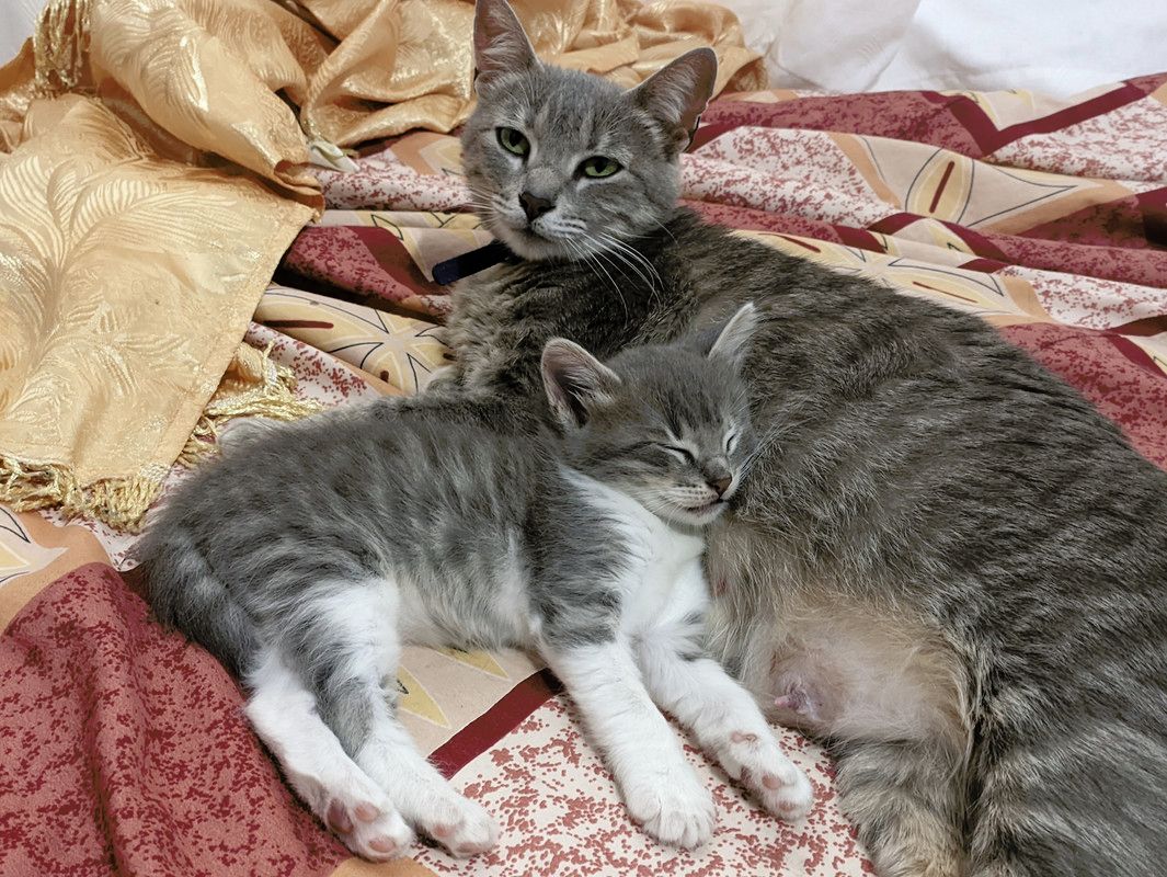 mother and son | Scrolller