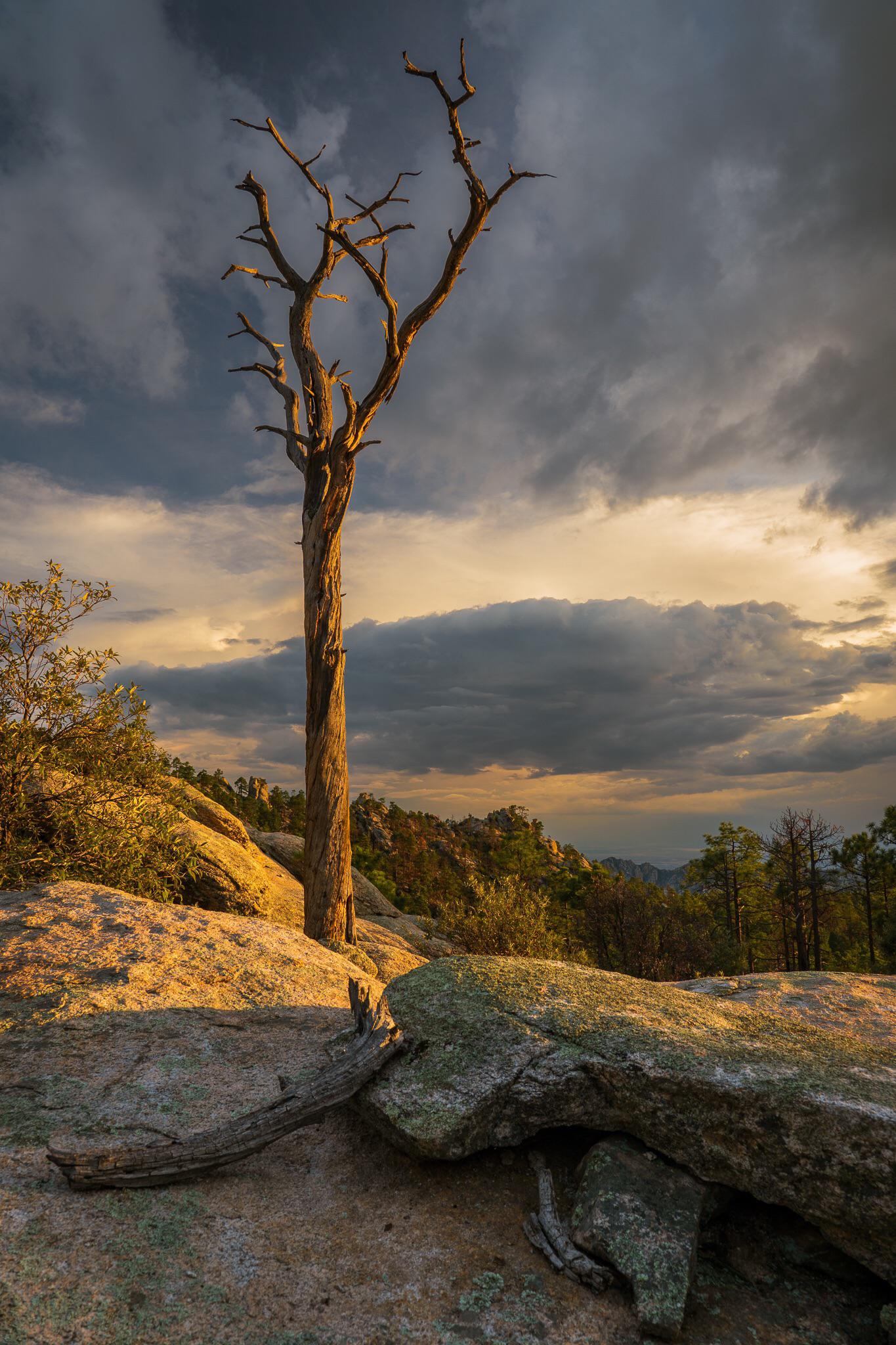 Mount Lemmon 09/20/2022 | Scrolller