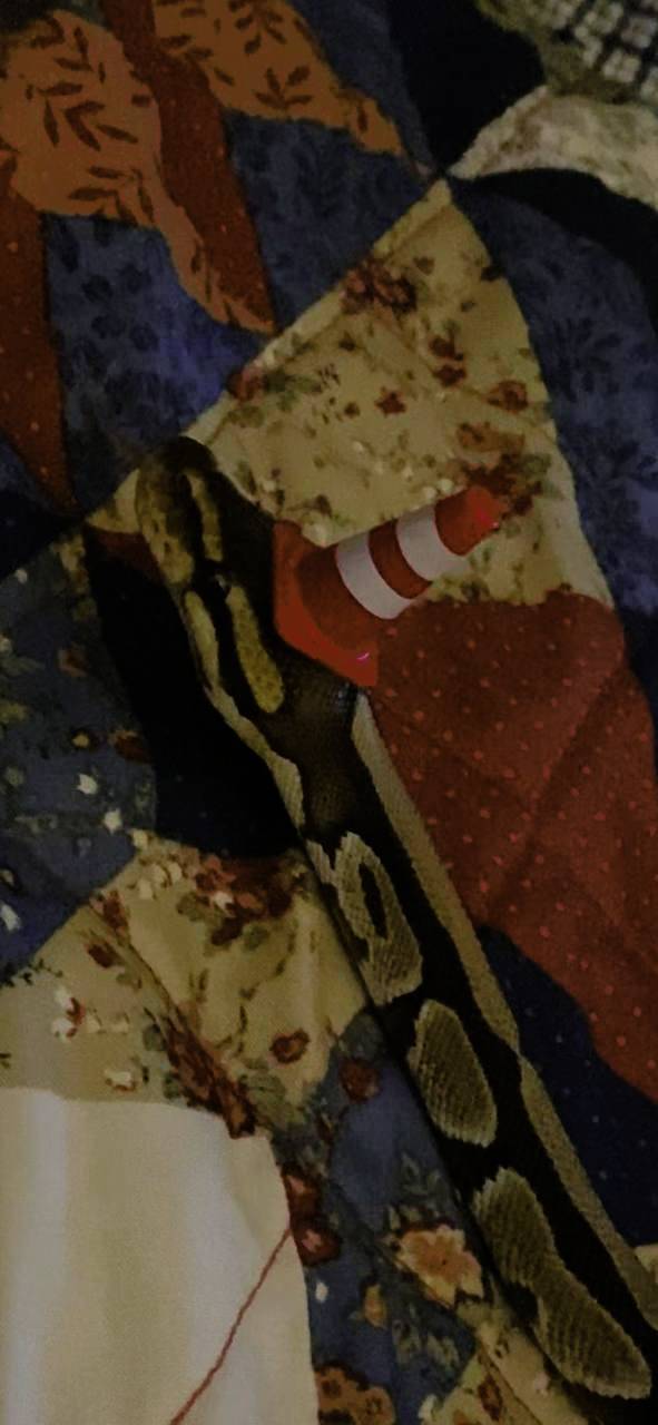 My boy Miso! | Scrolller