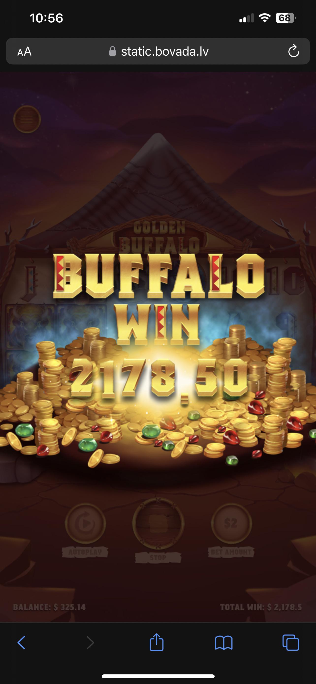 My first ever 1000x win! 🦬 | Scrolller