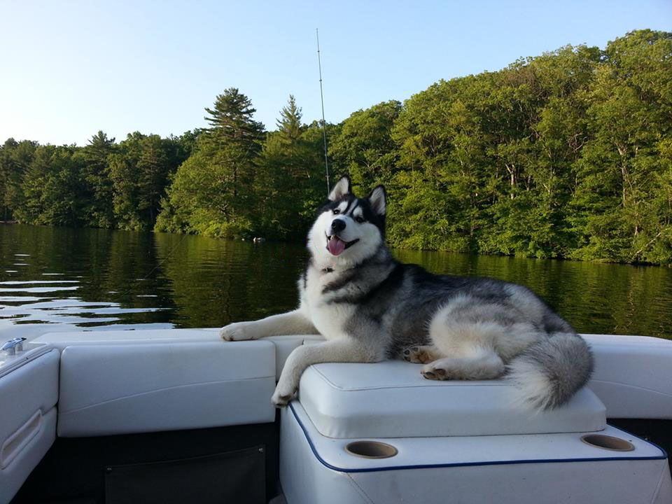 My fishing buddy just turned 1 | Scrolller