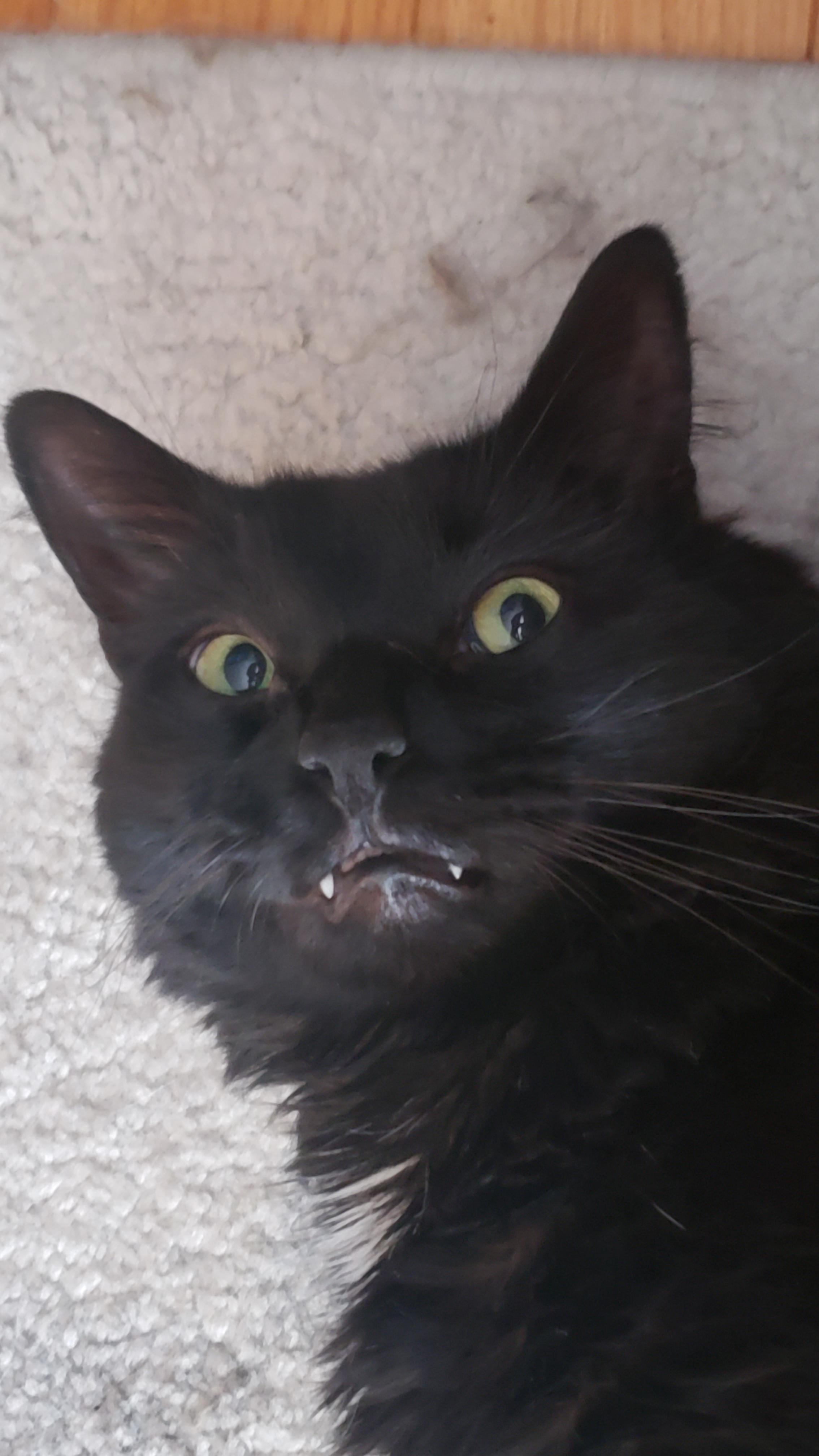 My guy is looking spooked! | Scrolller